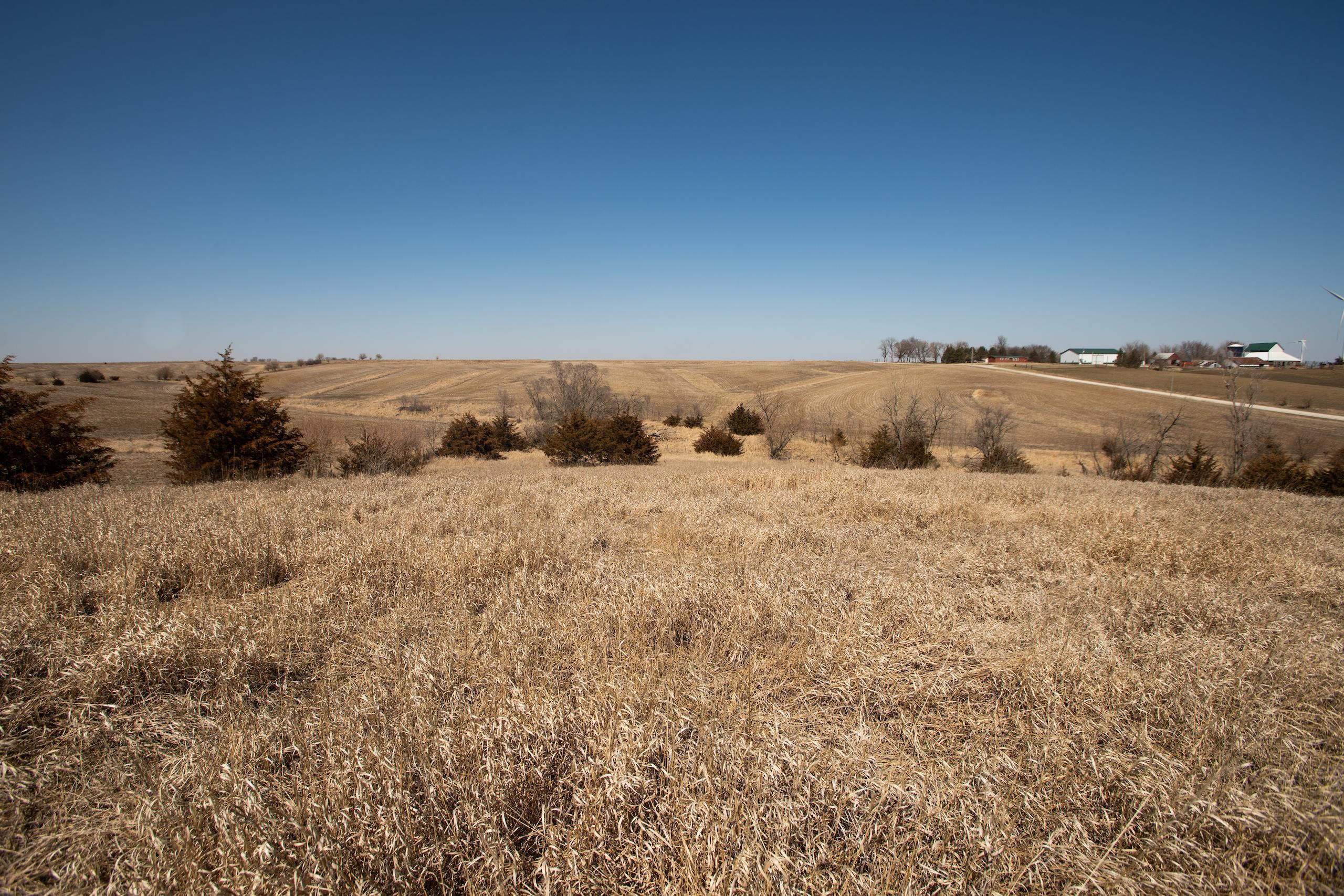 2391 270th St, Greenfield, IA 50849 | Land and Farm