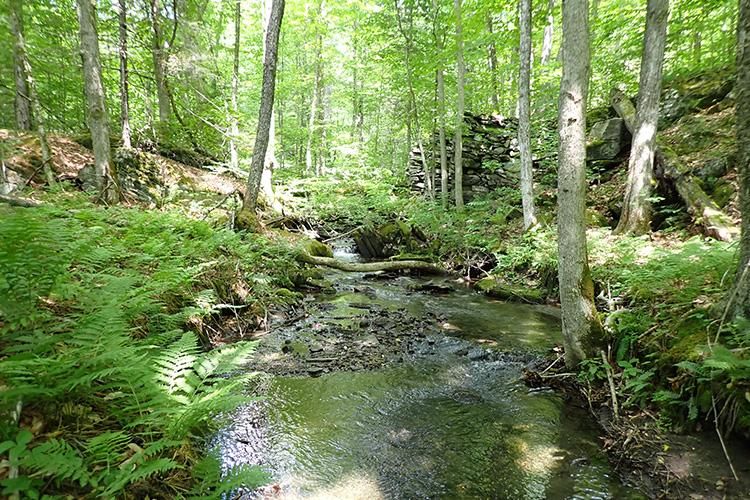 264 Acres, Bear Notch Road, West Fairlee, VT 05083 | Land and Farm