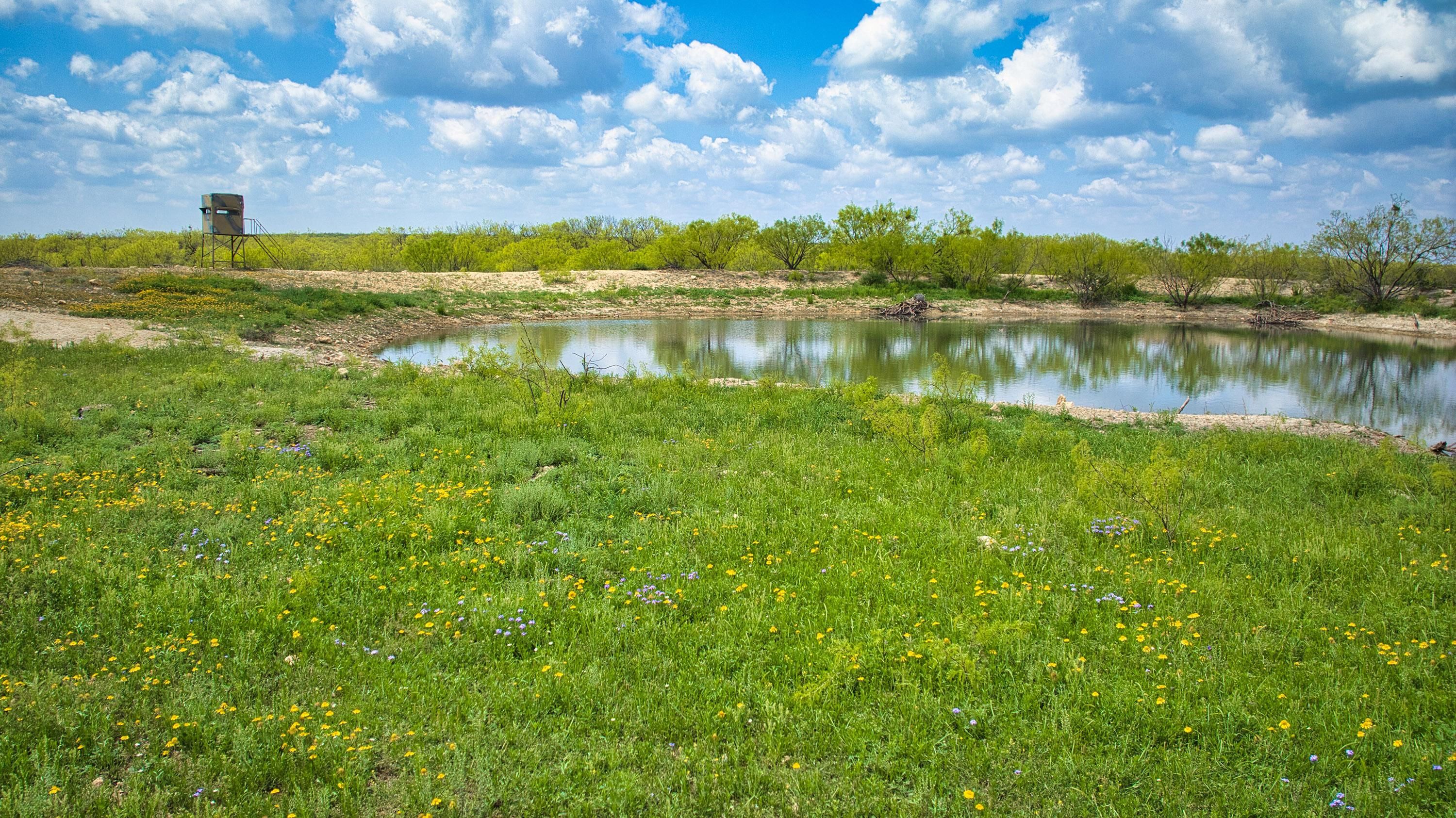 13732 FM765, Millersview, TX 76862 | Land and Farm