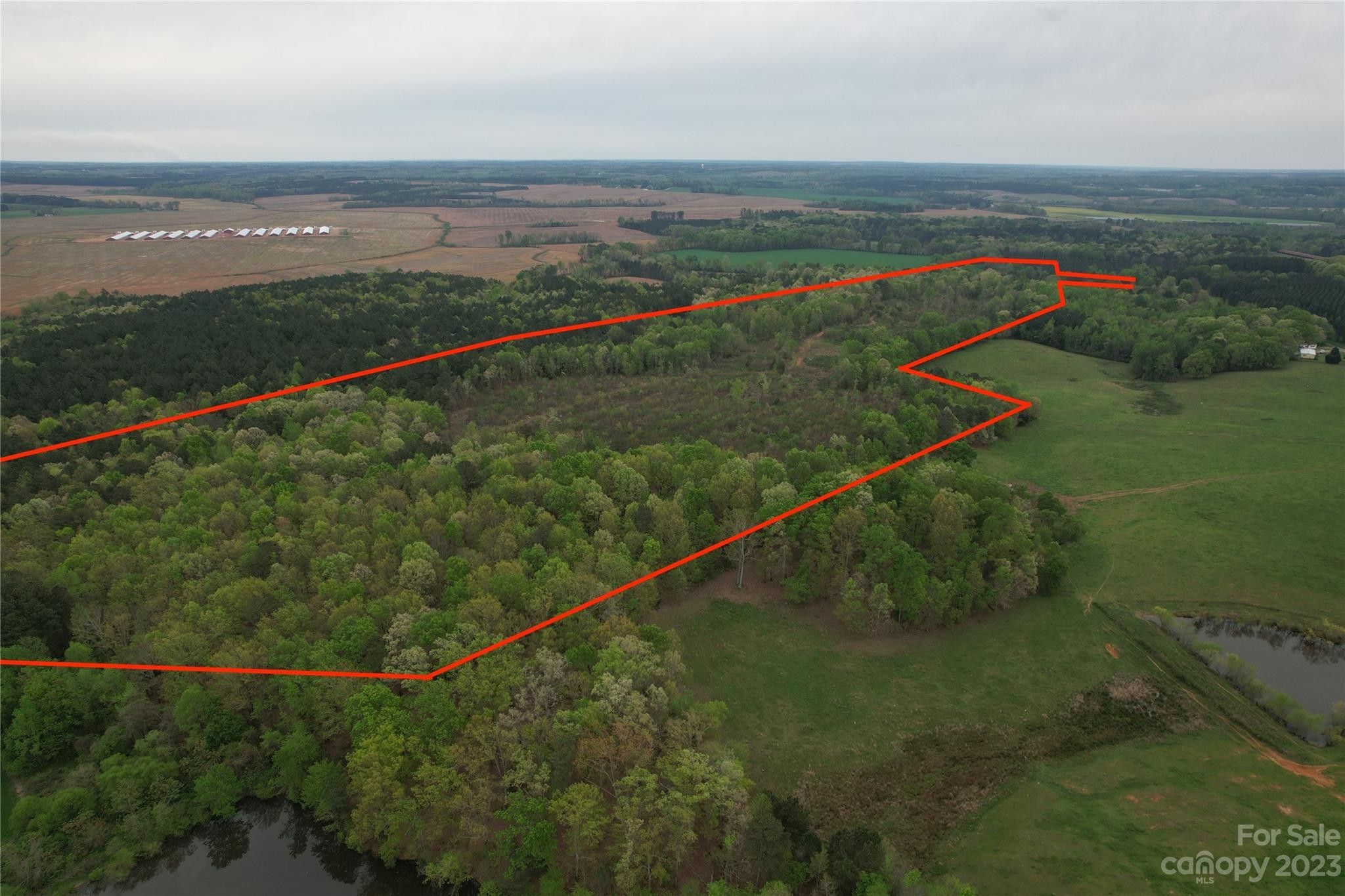 55.65 Acres, 000 Mills Road, Marshville, NC 28103 | Land and Farm