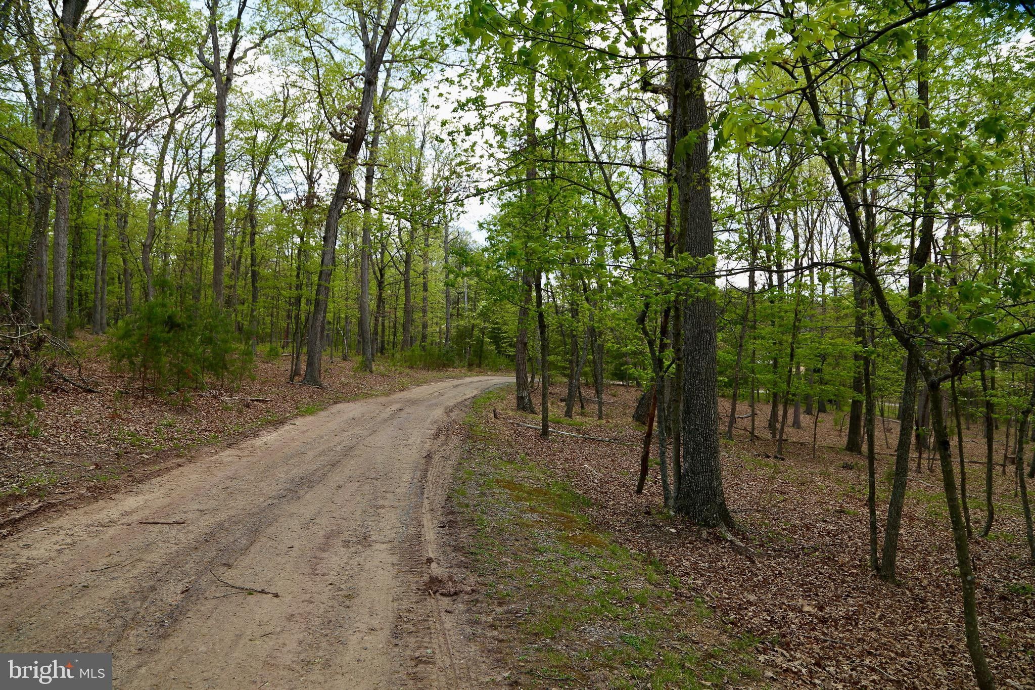 8.48 Acres, 144 SILENT WAY, High View, WV 26808 | Land and Farm