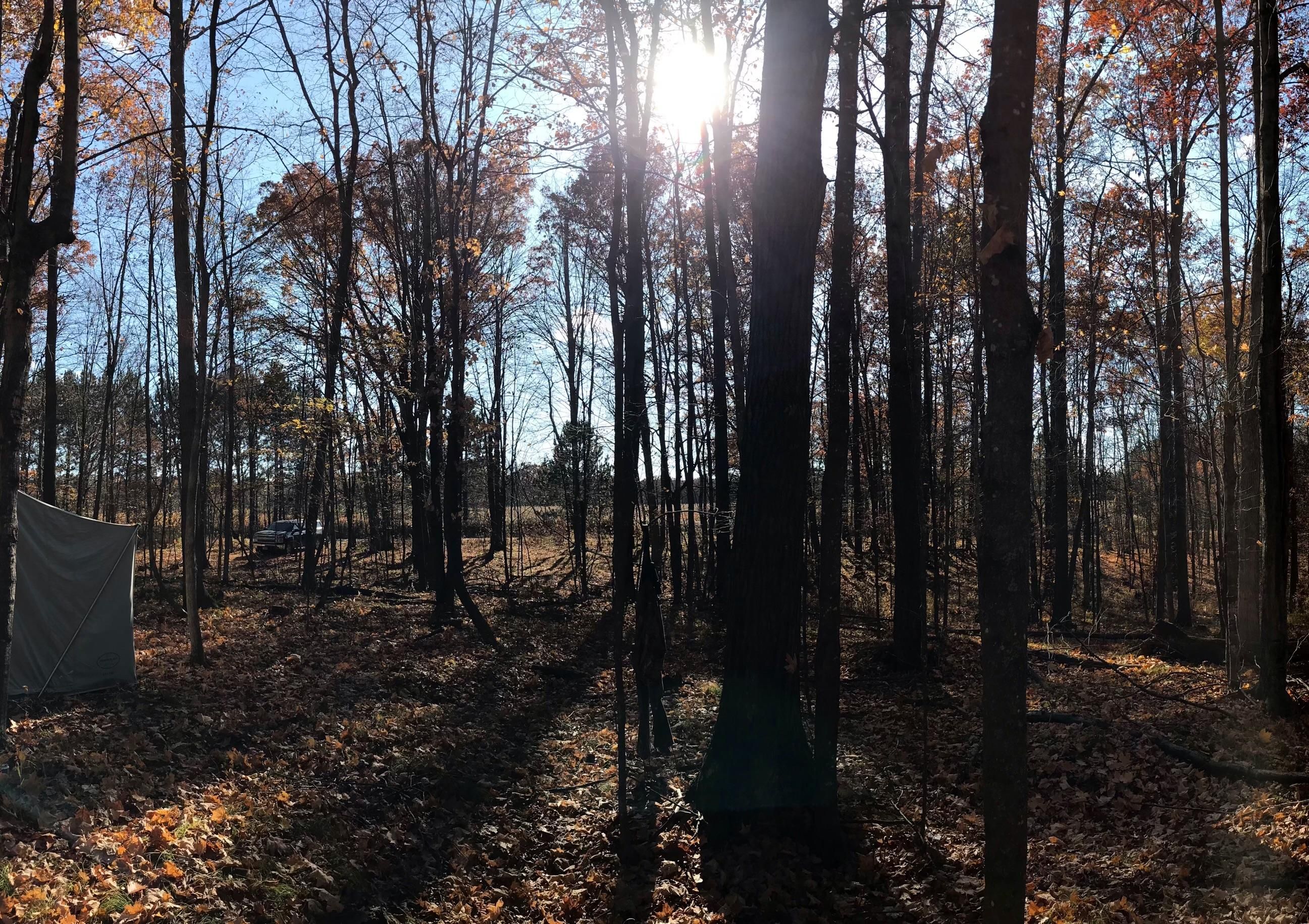 Wildwood Road, Willard, WI 54493 | MLS: 1954147 | Land and Farm