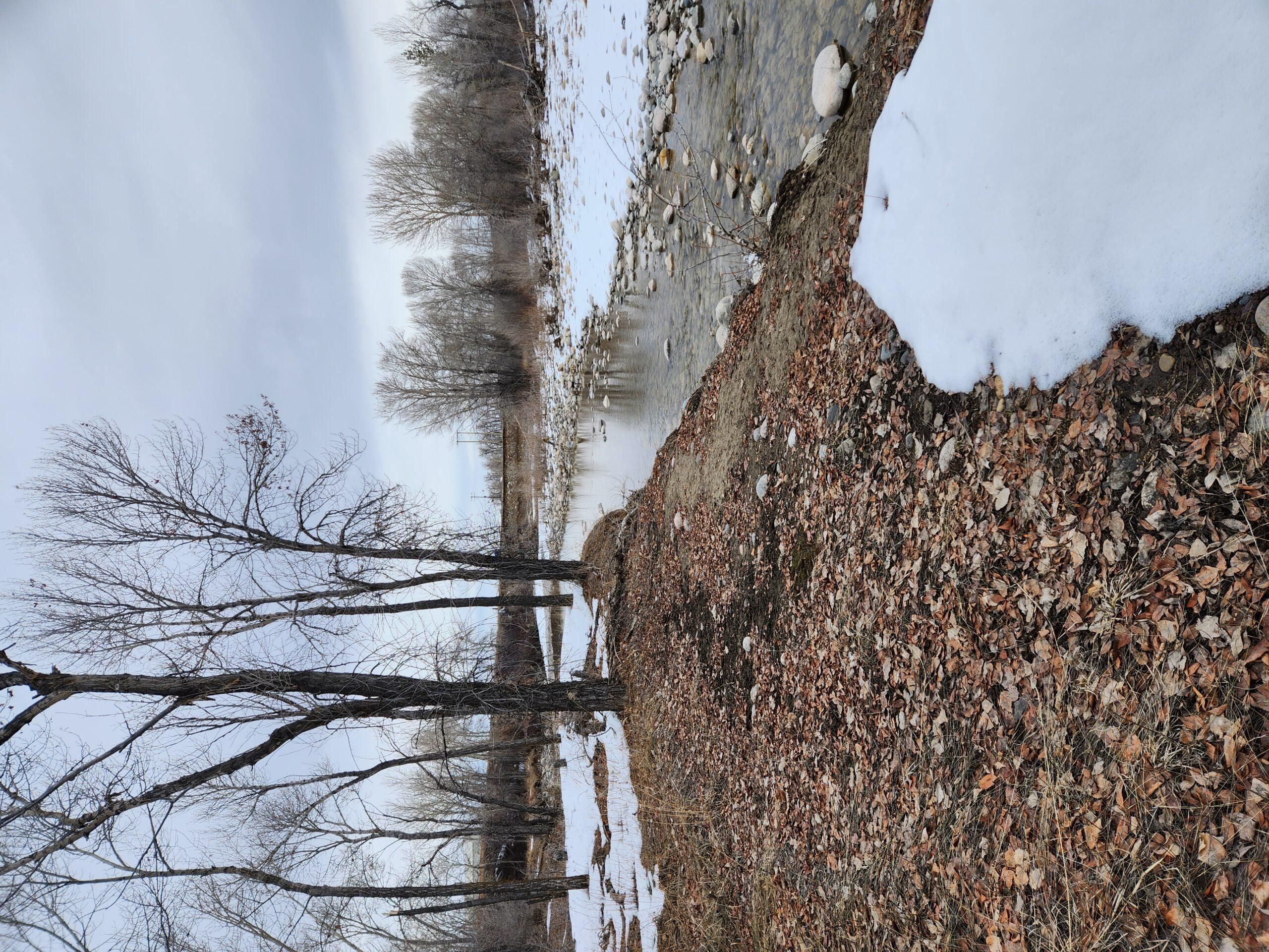 Timber Ln, Big Timber, MT 59011 | Land and Farm