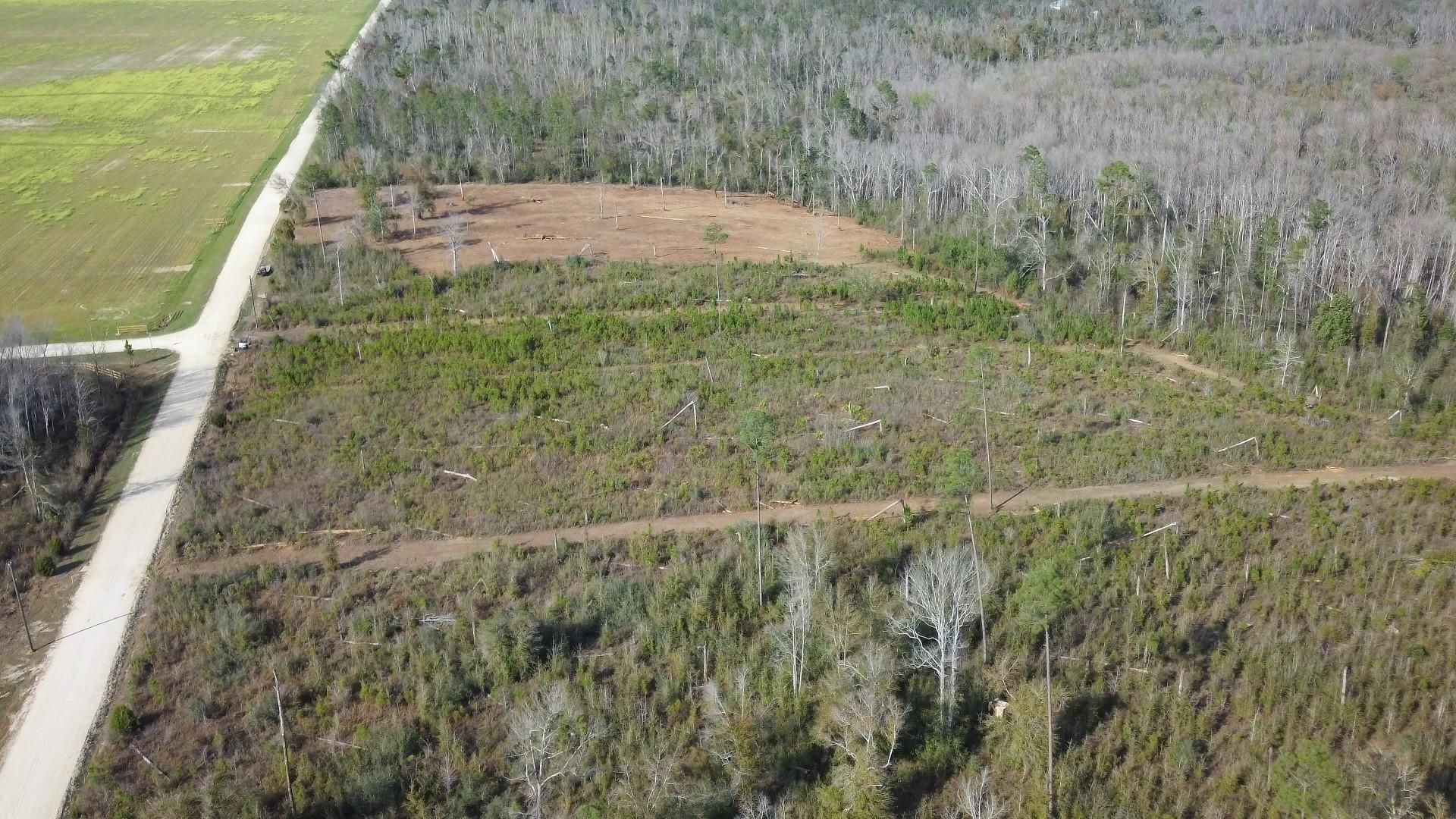 Davis Peacock Road, Kinard, FL 32449 | Land and Farm