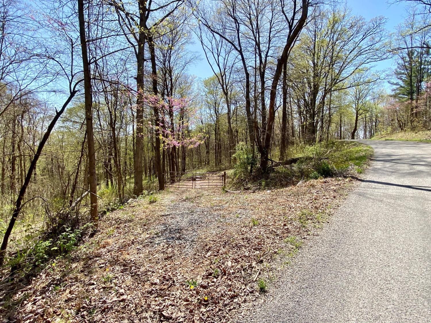 Greenbriar Road, Bainbridge, OH 45612 | MLS: 1770096 | Land and Farm