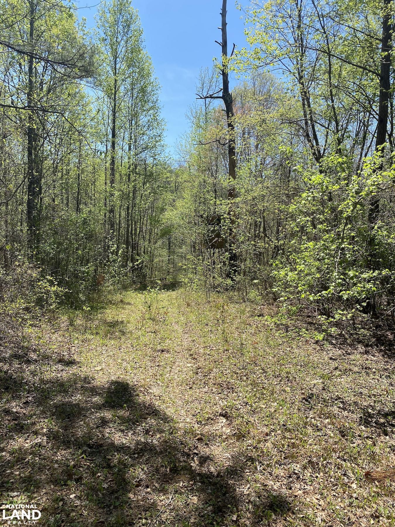 0 CR 831, Logan, AL 35098 | Land and Farm