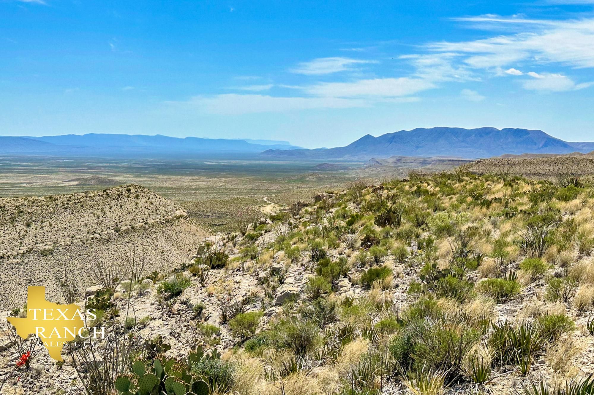 20 Acres, Alpine, TX 79832 | Land and Farm