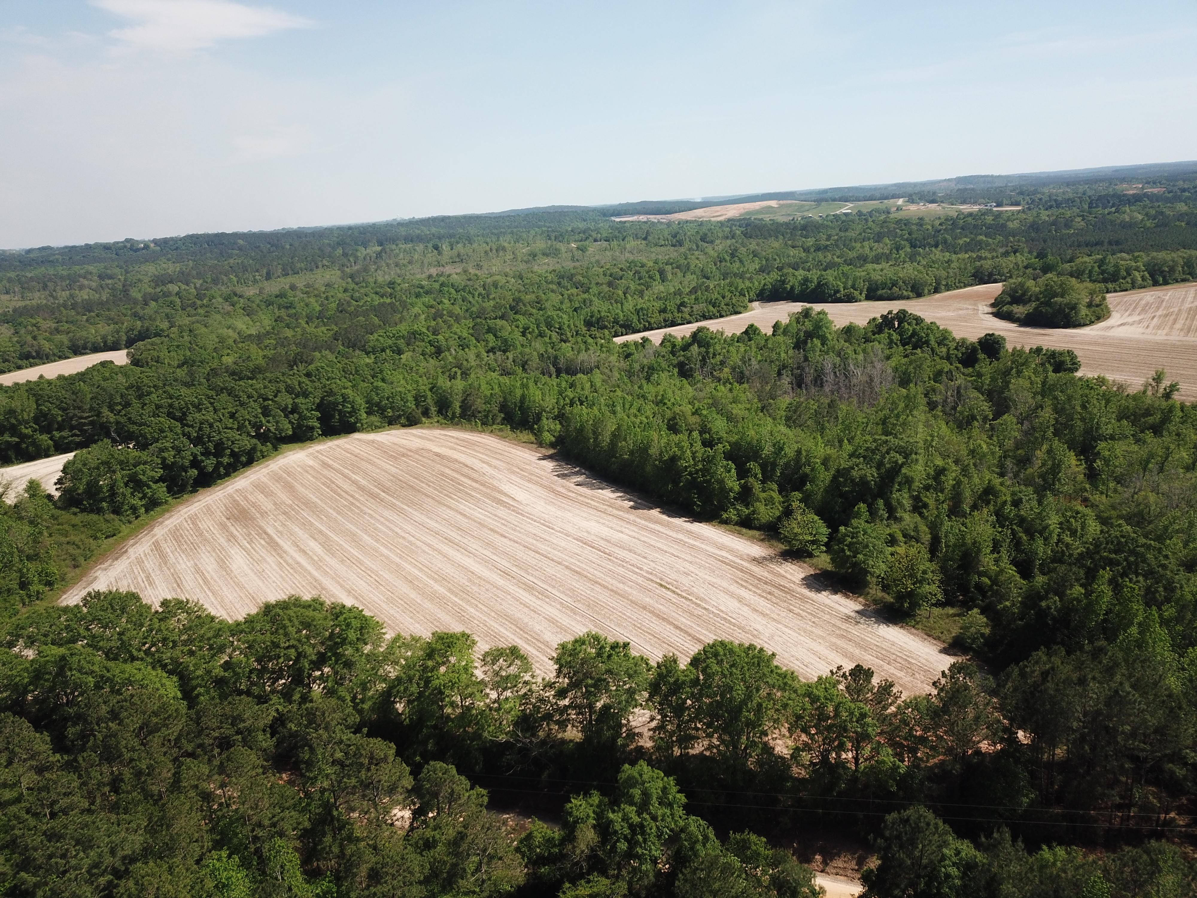 Co Rd 217, Jack, AL 36346 | Land and Farm