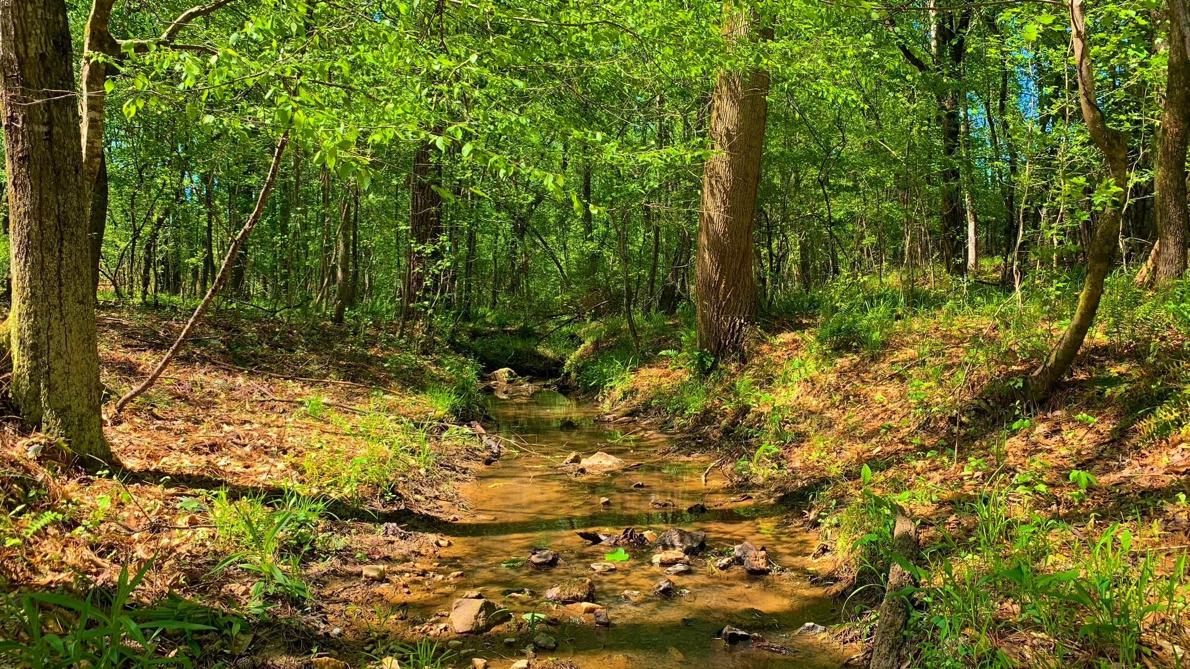 Center Hill Road Northwest, Crawfordville, GA 30631 | Land and Farm