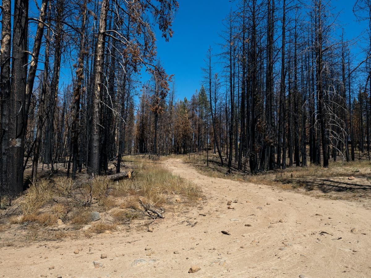 #A5-1242, Bly, OR 97622 | MLS: R177686 | Land and Farm