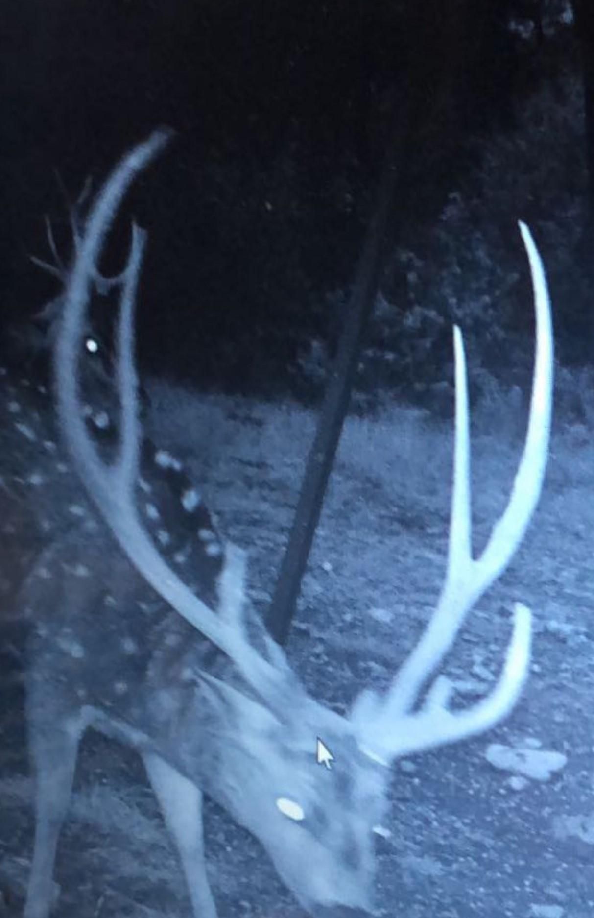 101 acres in Rocksprings, TX, 78880 | Land and Farm