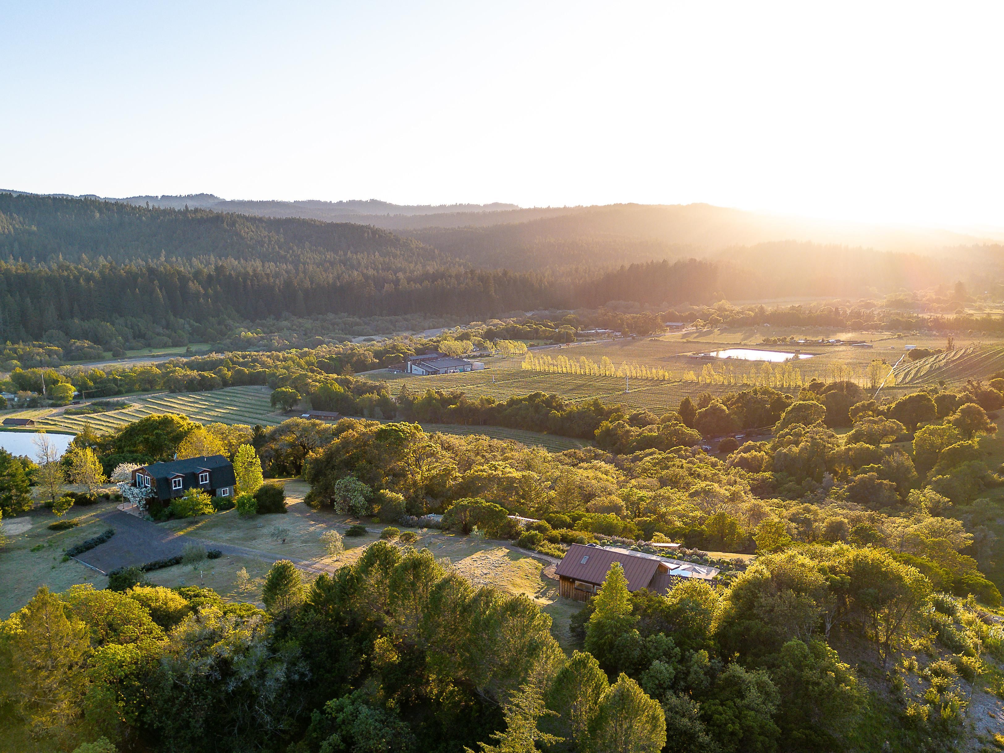 7349 California 128, Philo, CA 95466 | MLS: 323022503 | Land and Farm