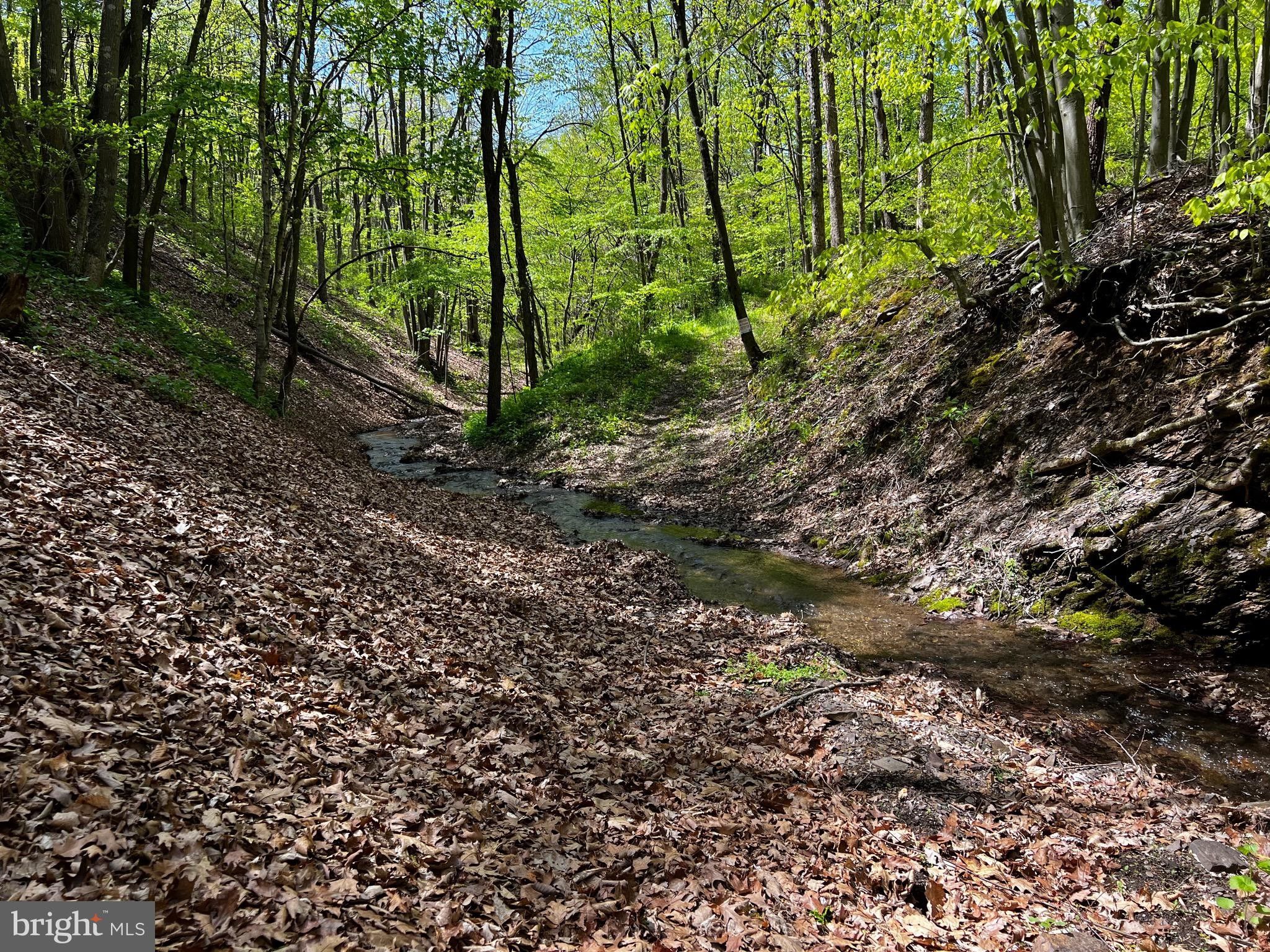 124.57 Acres, 537 WHISPERING WOODS ROAD, Maysville, WV 26833 | Land and ...