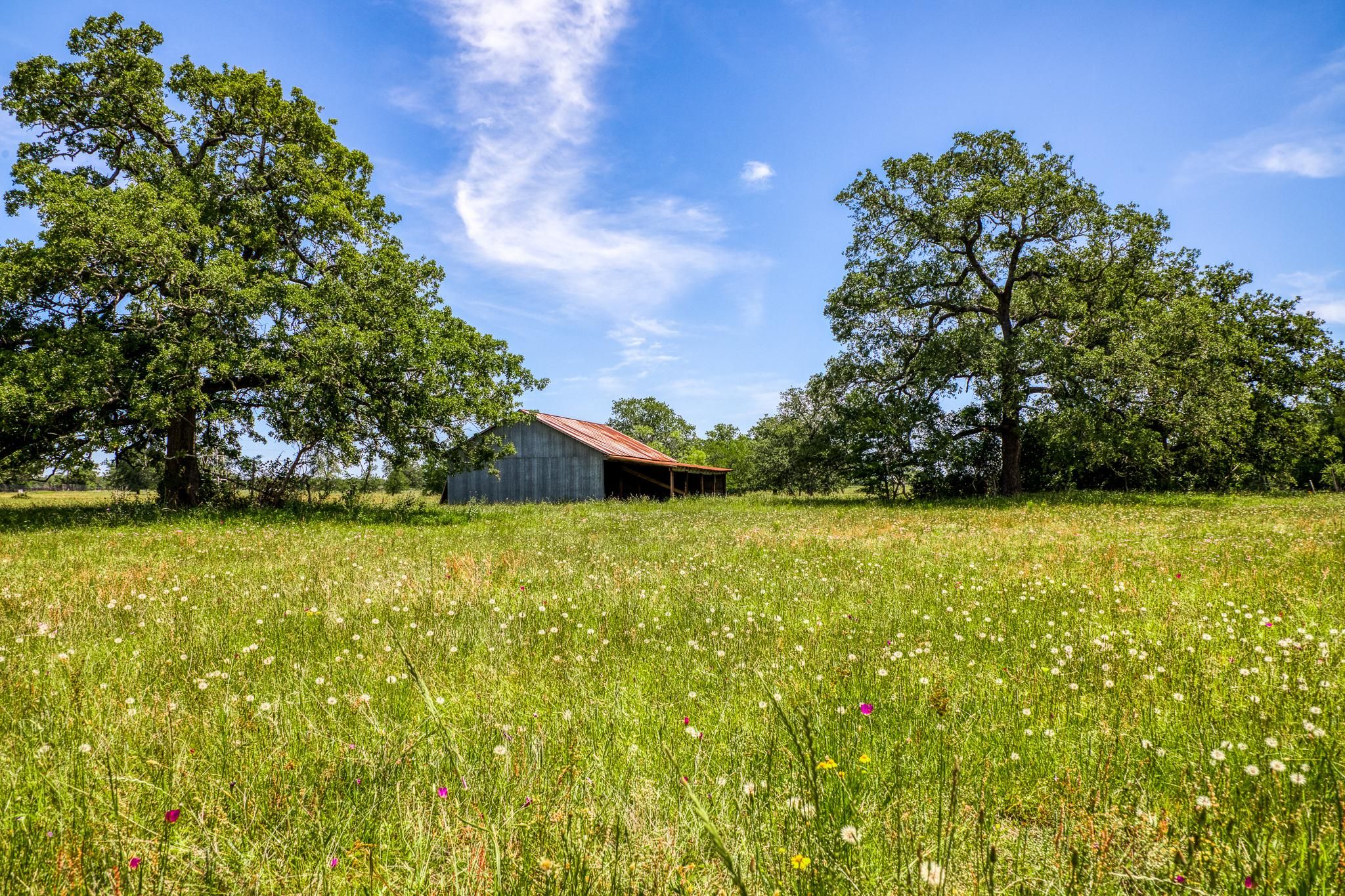 TBD (30 Acres) County Road 423, Somerville, TX 77879 | Land and Farm