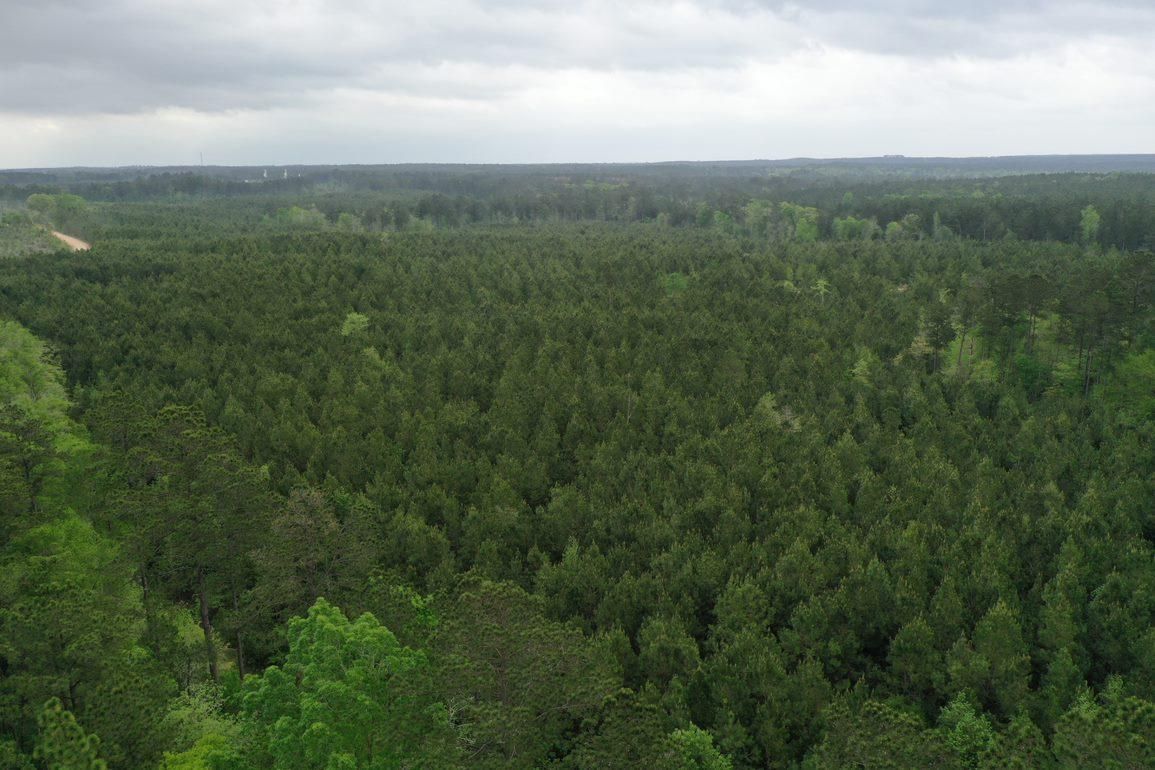 13 Acres, Denning, TX 75972 | Land and Farm