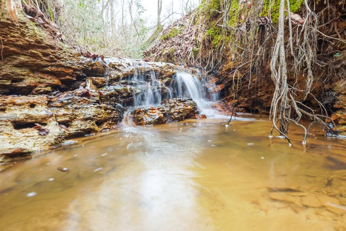 Co Rd 3144, Mount Enterprise, TX 75681 | Land and Farm