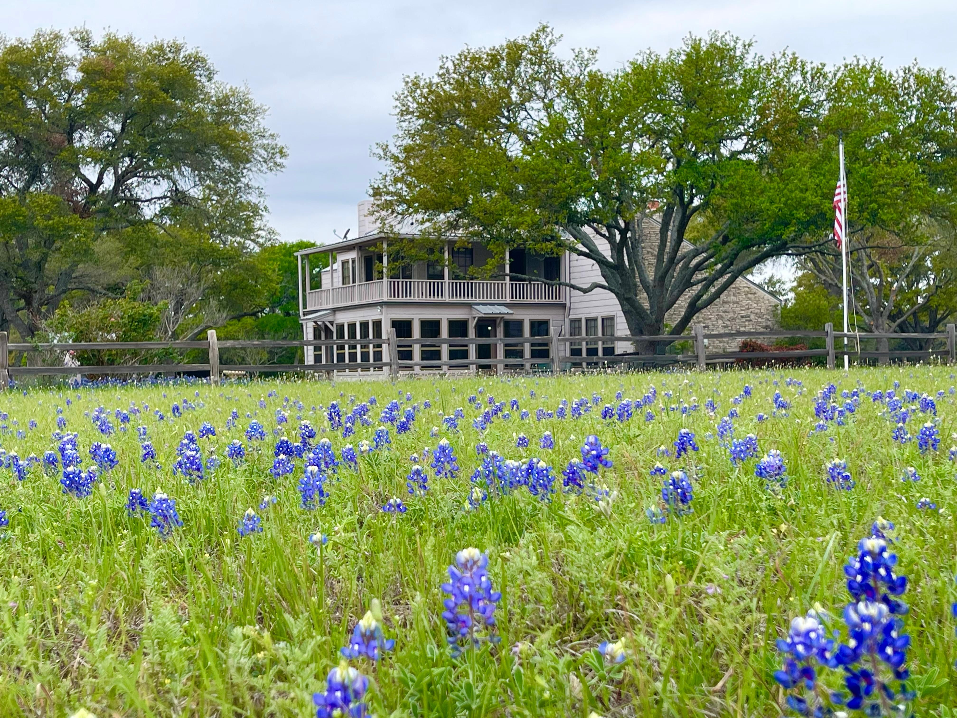 555 Field Rd, Fischer, TX 78623 | MLS: 4825305 | Land and Farm