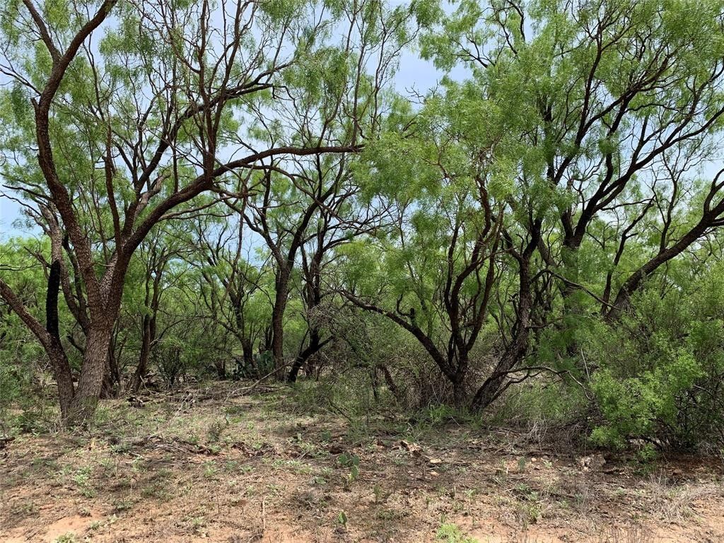 5.4 Acres, Tbd CR 496, Merkel, TX 79536 | Land and Farm