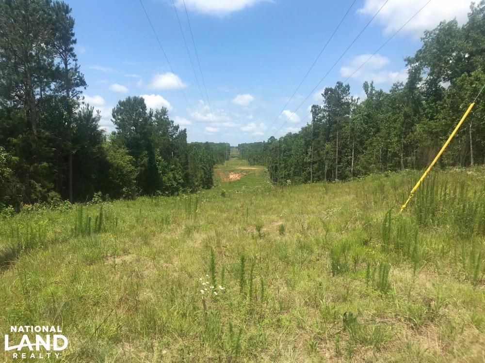 121 Acres, 0 Ridge Crest Road, Gordo, AL 35466 | Land and Farm