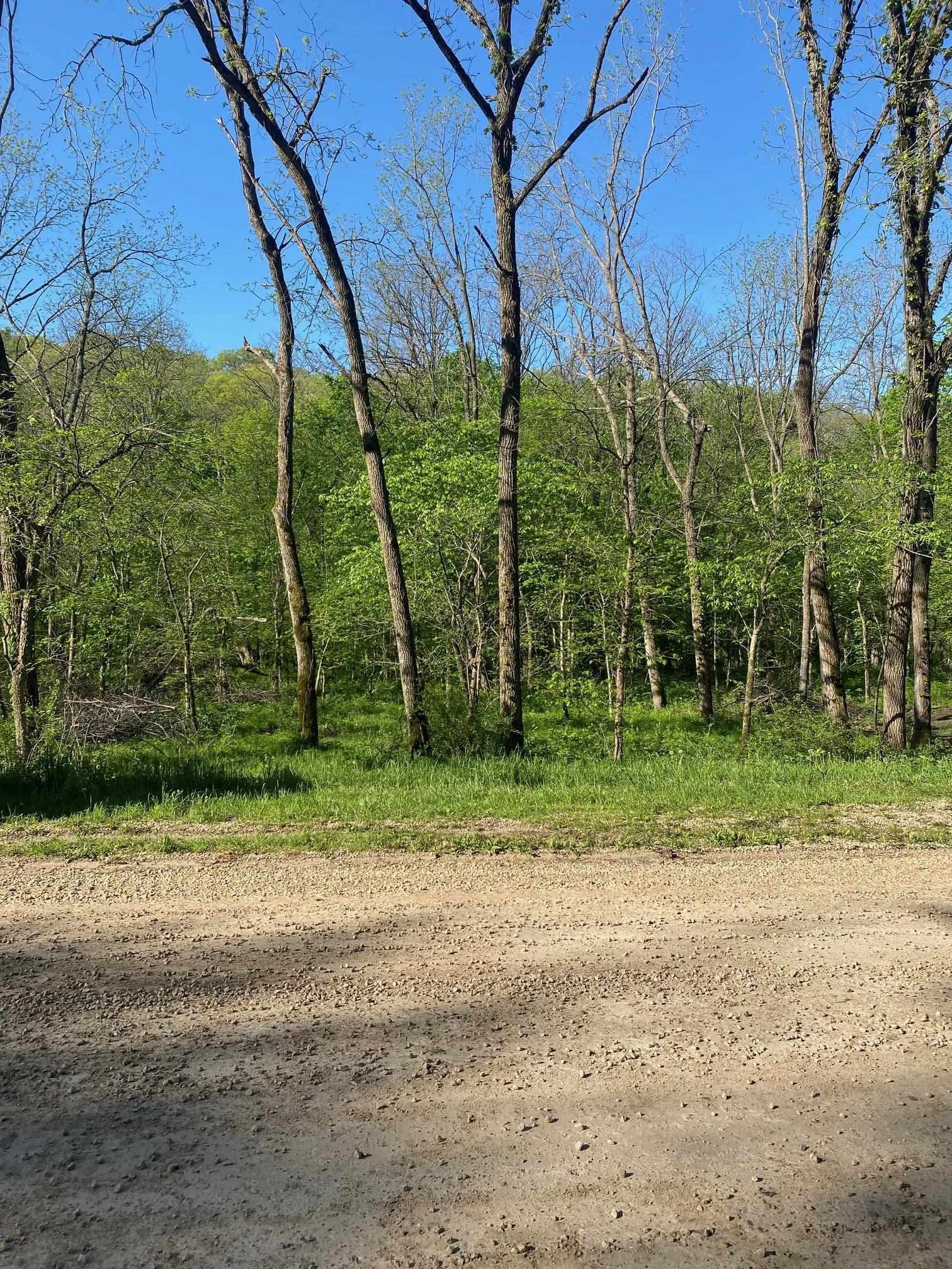10 Acres, Millville Hollow, Mount Hope, WI 53816 | Land and Farm