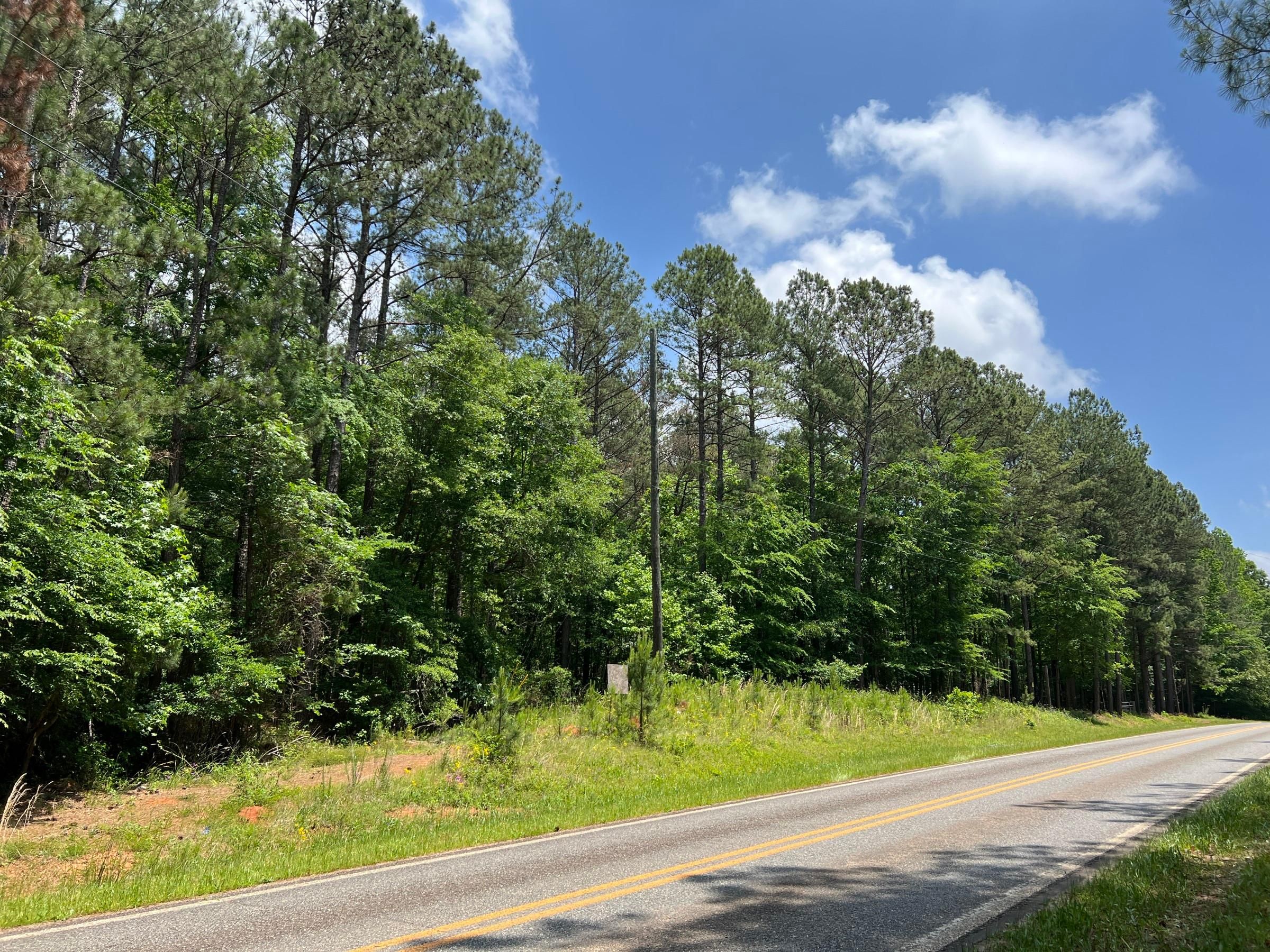 Rock Eagle Road, Monticello, GA 31064 | Land and Farm