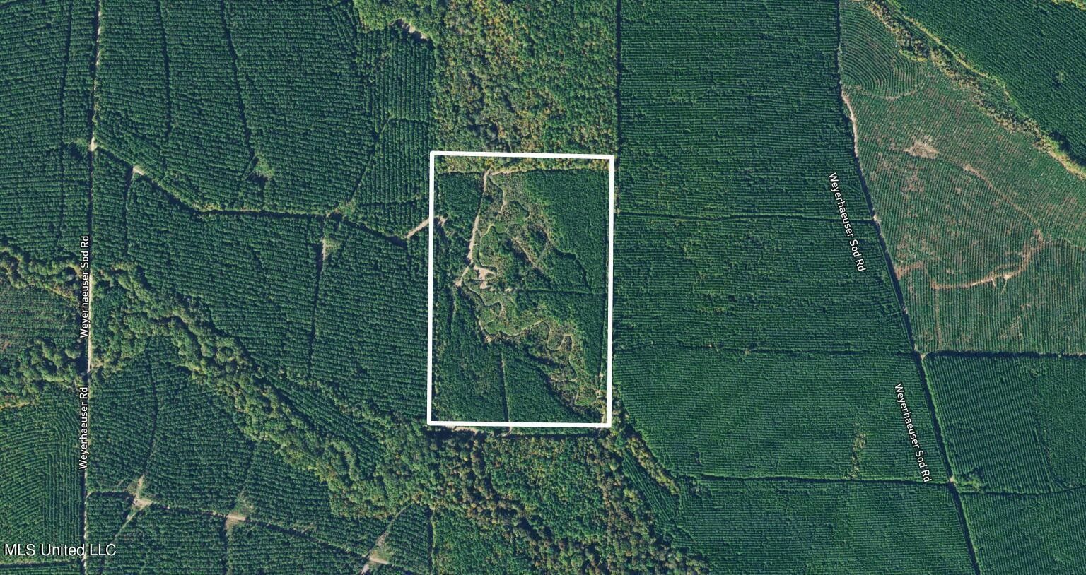 Weyerhaeuser Sod Road, Scooba, MS 39358 | MLS: 4047916 | Land and Farm