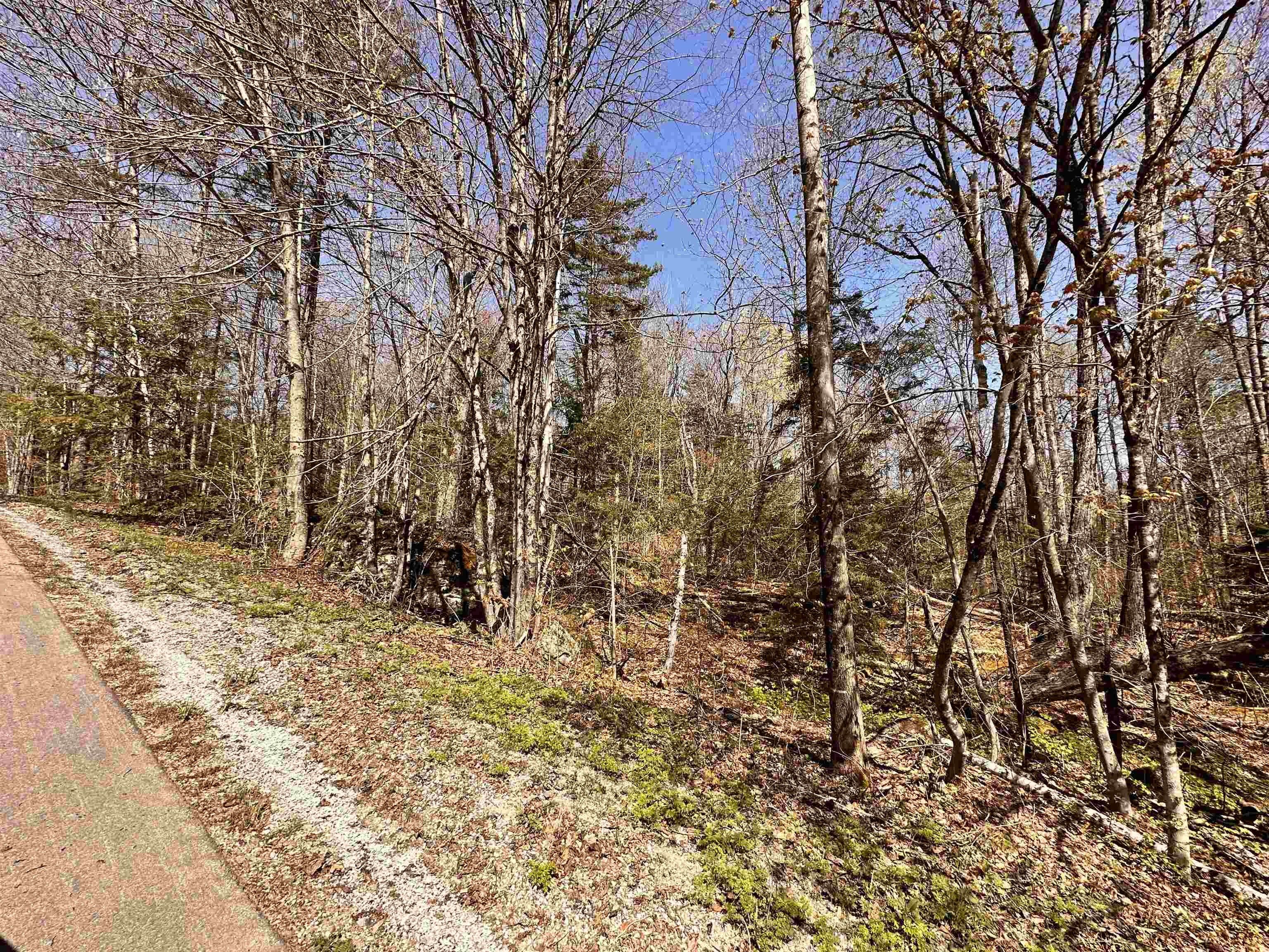 2 Acres, 47 & 48 Okemo Way, Mount Holly, VT 05758 | Land and Farm