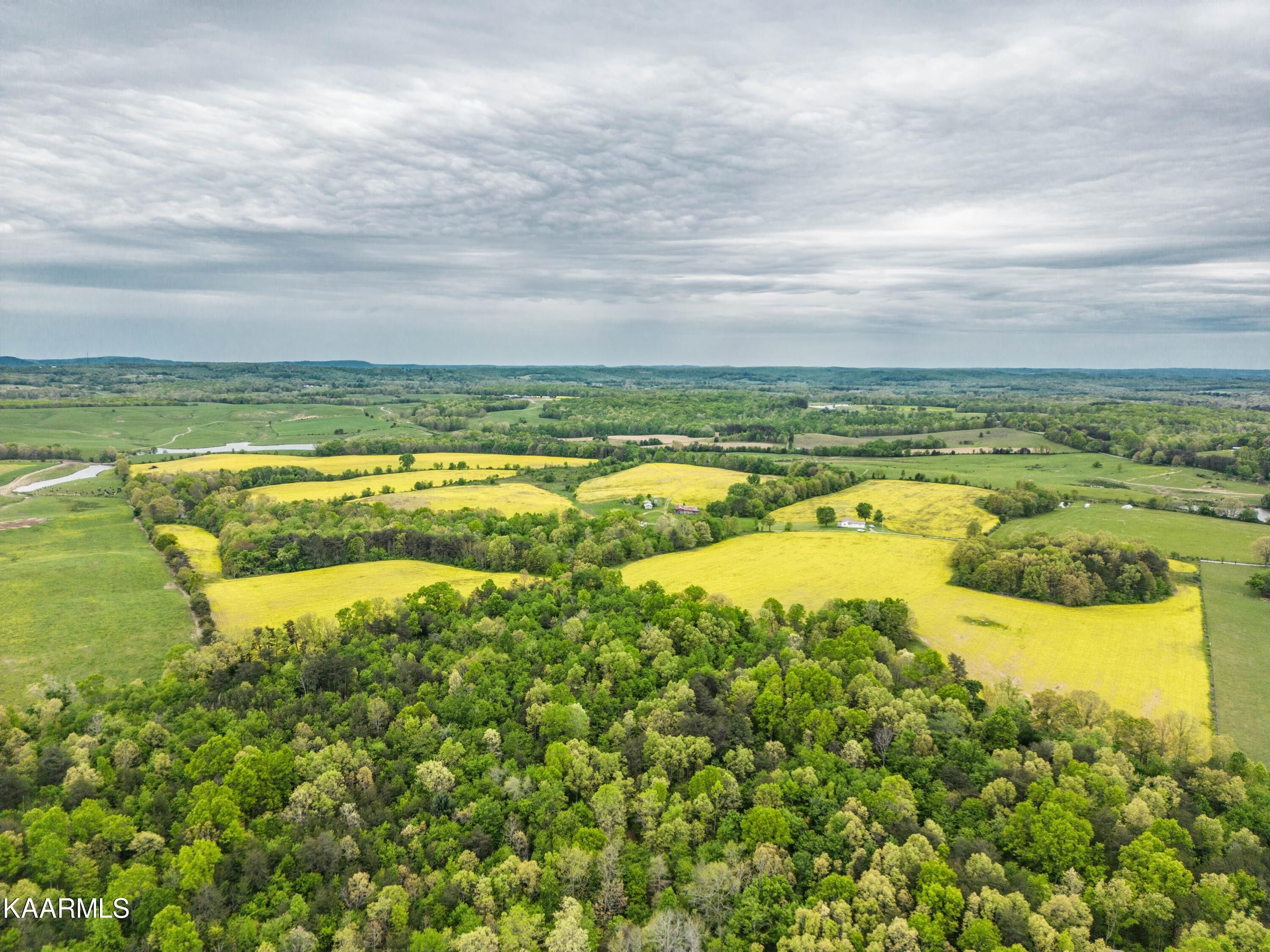 163.96 Acres, 506 Kay Rd, Pikeville, TN 37367 | Land and Farm