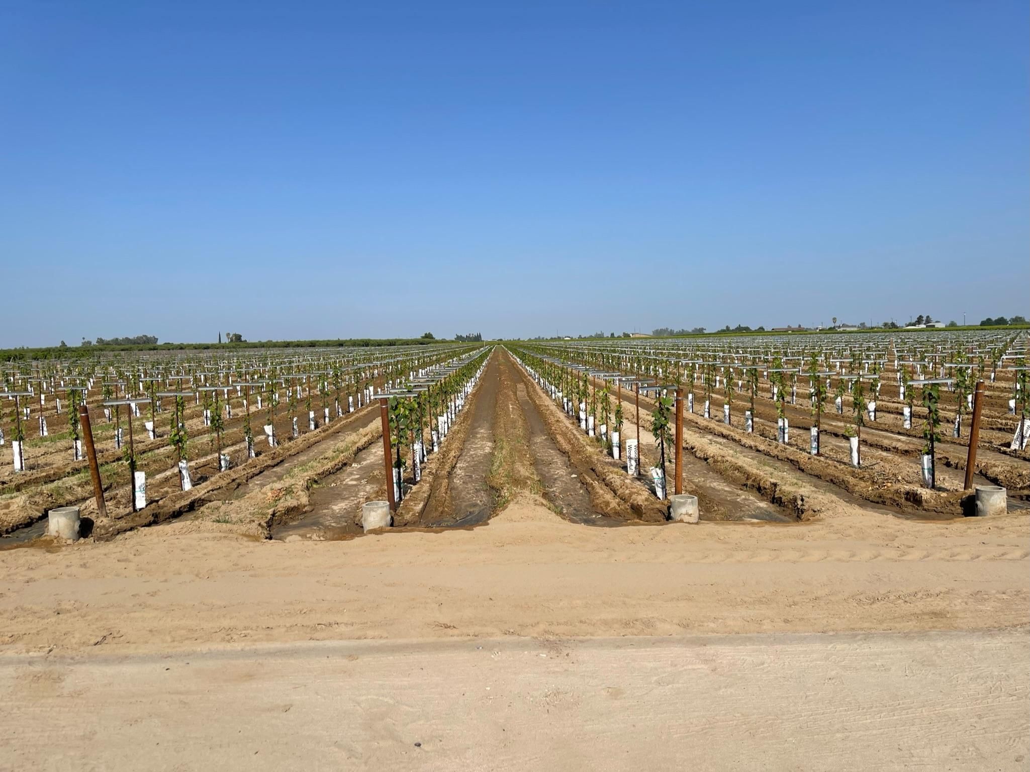 W. side of Willow Ave., S. of Adams Ave., Fresno, CA 93725 | Land and Farm