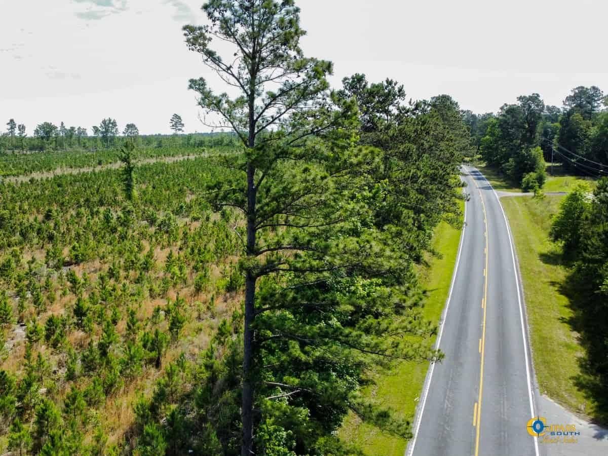 63 acres in North, SC, 29112 | Land and Farm