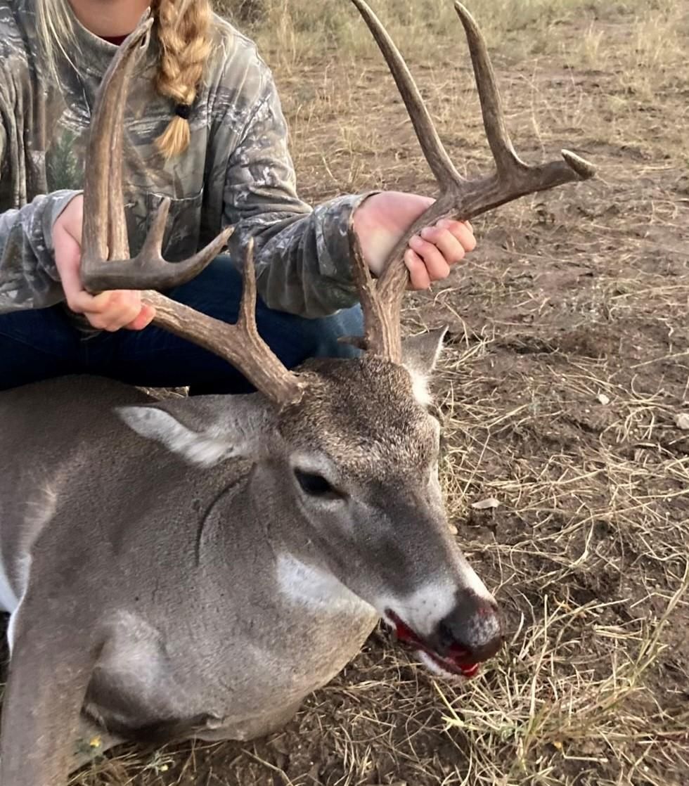 31 Acres, County Road 213, Goldthwaite, TX 76844 | Land and Farm