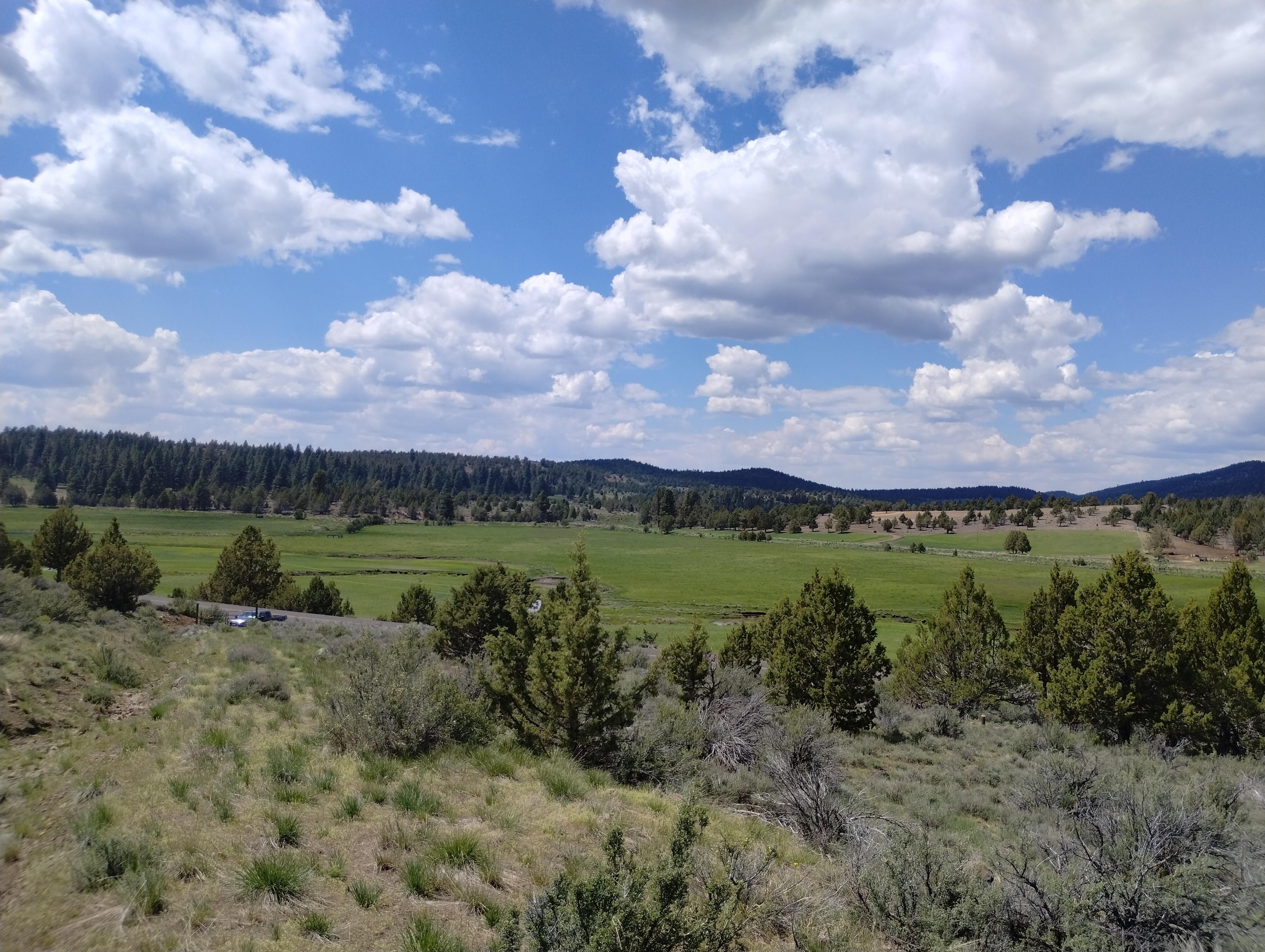 63.86 Acres, 88994 Dog Lake Ln, Lakeview, OR 97630 | Land and Farm