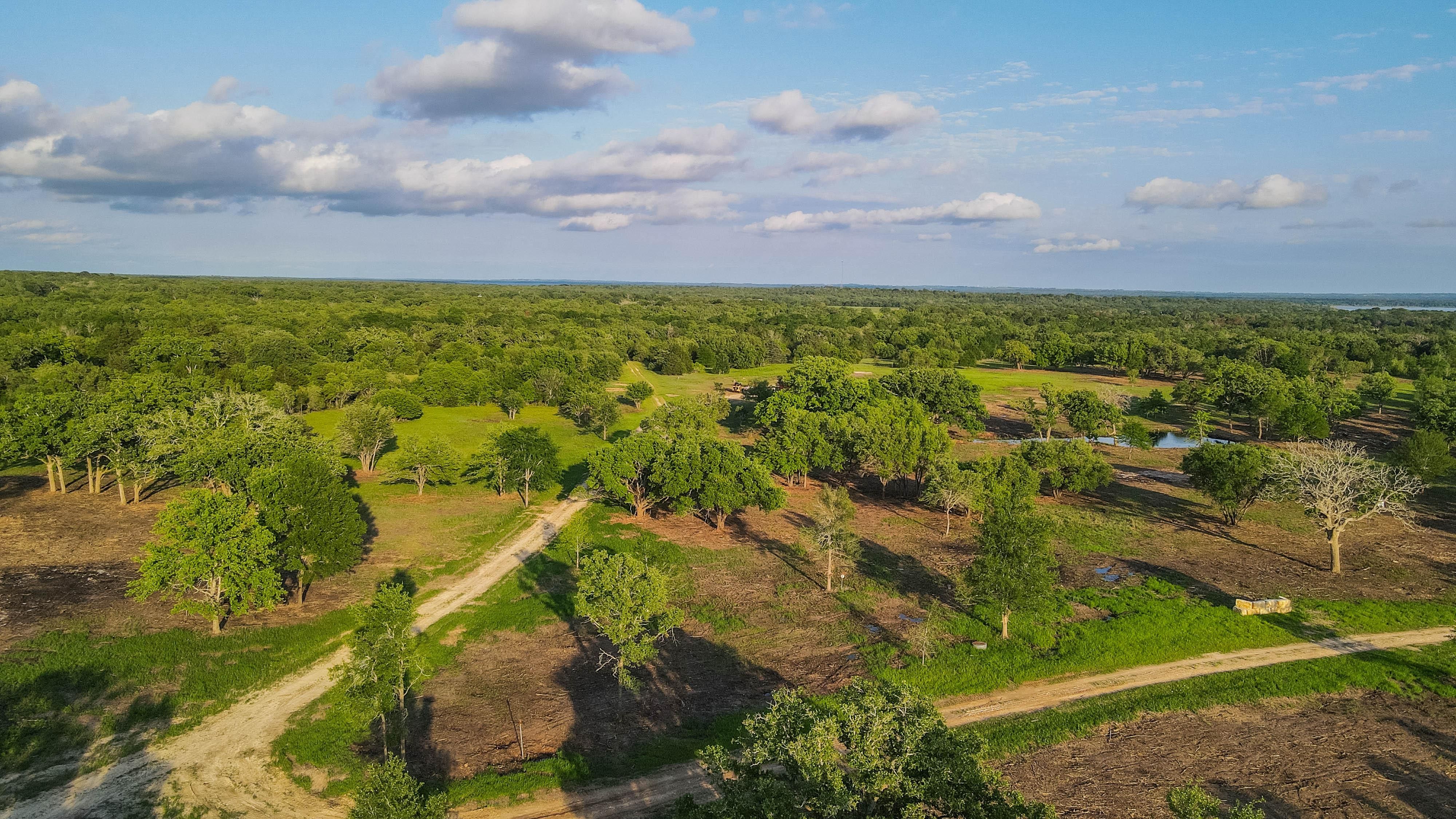 11414 County Road 162, Somerville, TX 77879 | MLS: 23007308 | Land and Farm