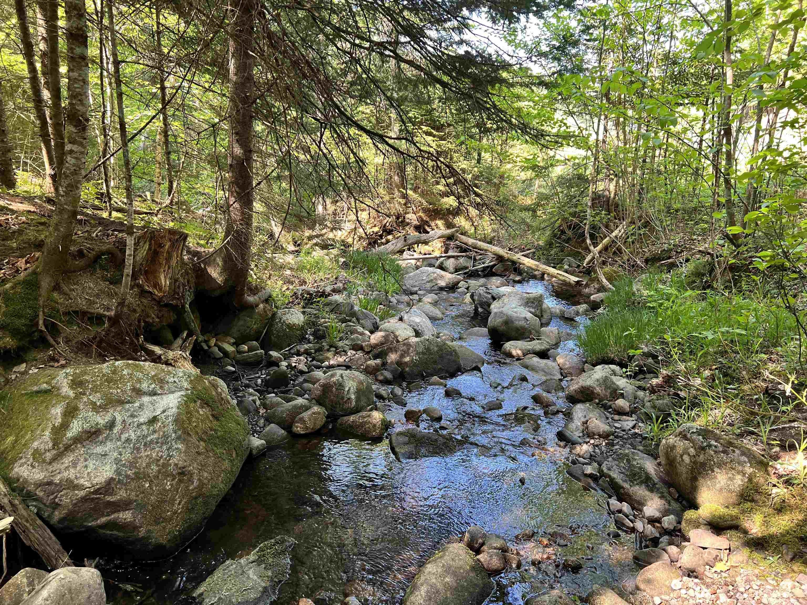 2.07 Acres, 00 VT Route 105, Bloomfield, VT 05905 | Land and Farm