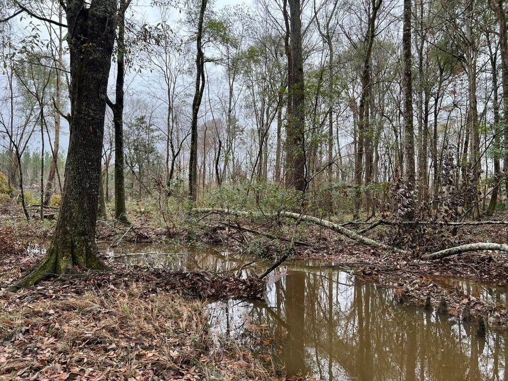 Gardner Road, Grady, AL 36036 | Land and Farm