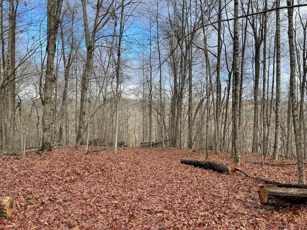 0 Ridge Top Circle, Blue Ridge, GA 30513 | Land and Farm