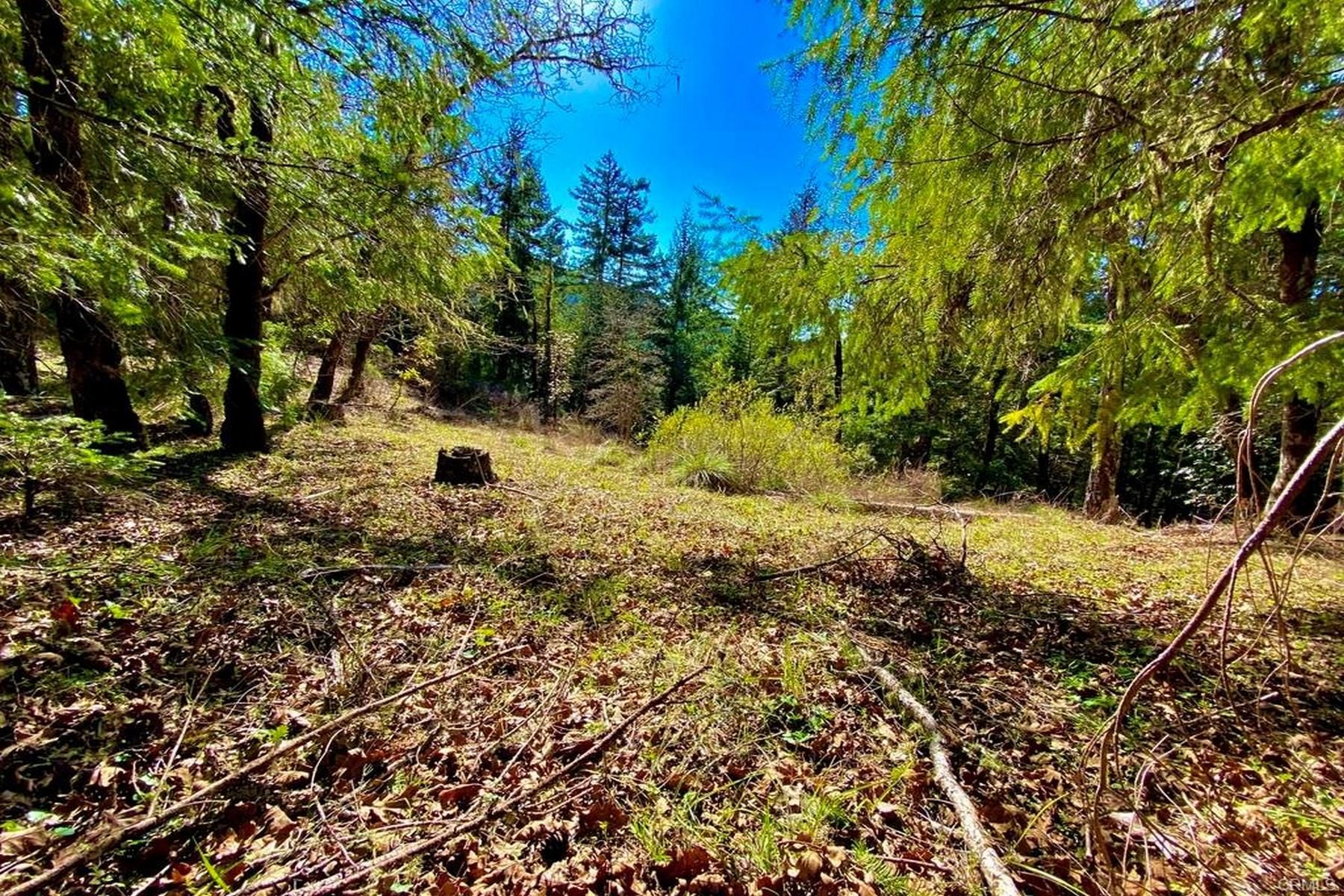 32010 State Highway 36, Bridgeville, CA 95526 | MLS: RW23094317 | Land ...
