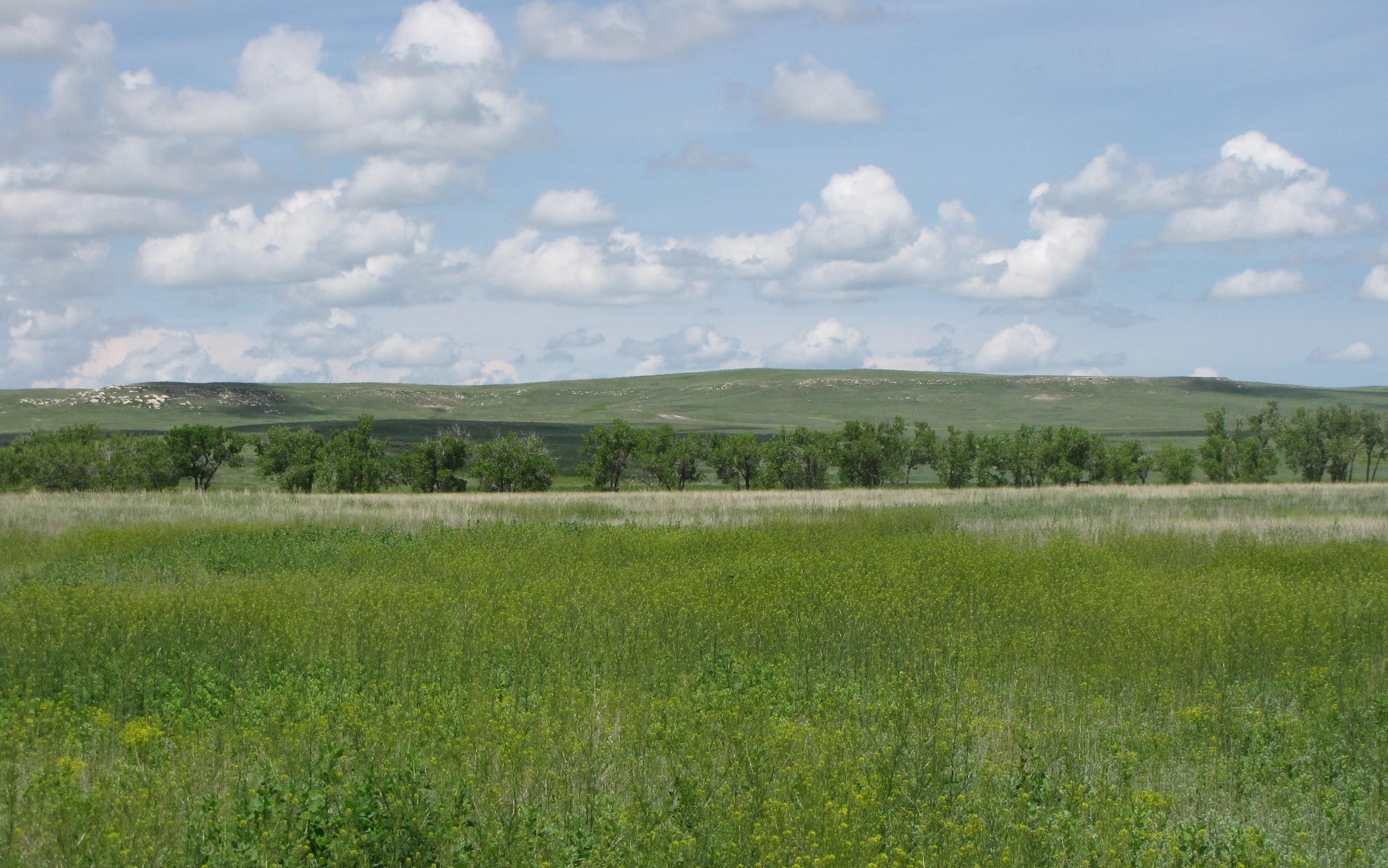 39373 U.S. 24, Matheson, CO 80830 | Land and Farm