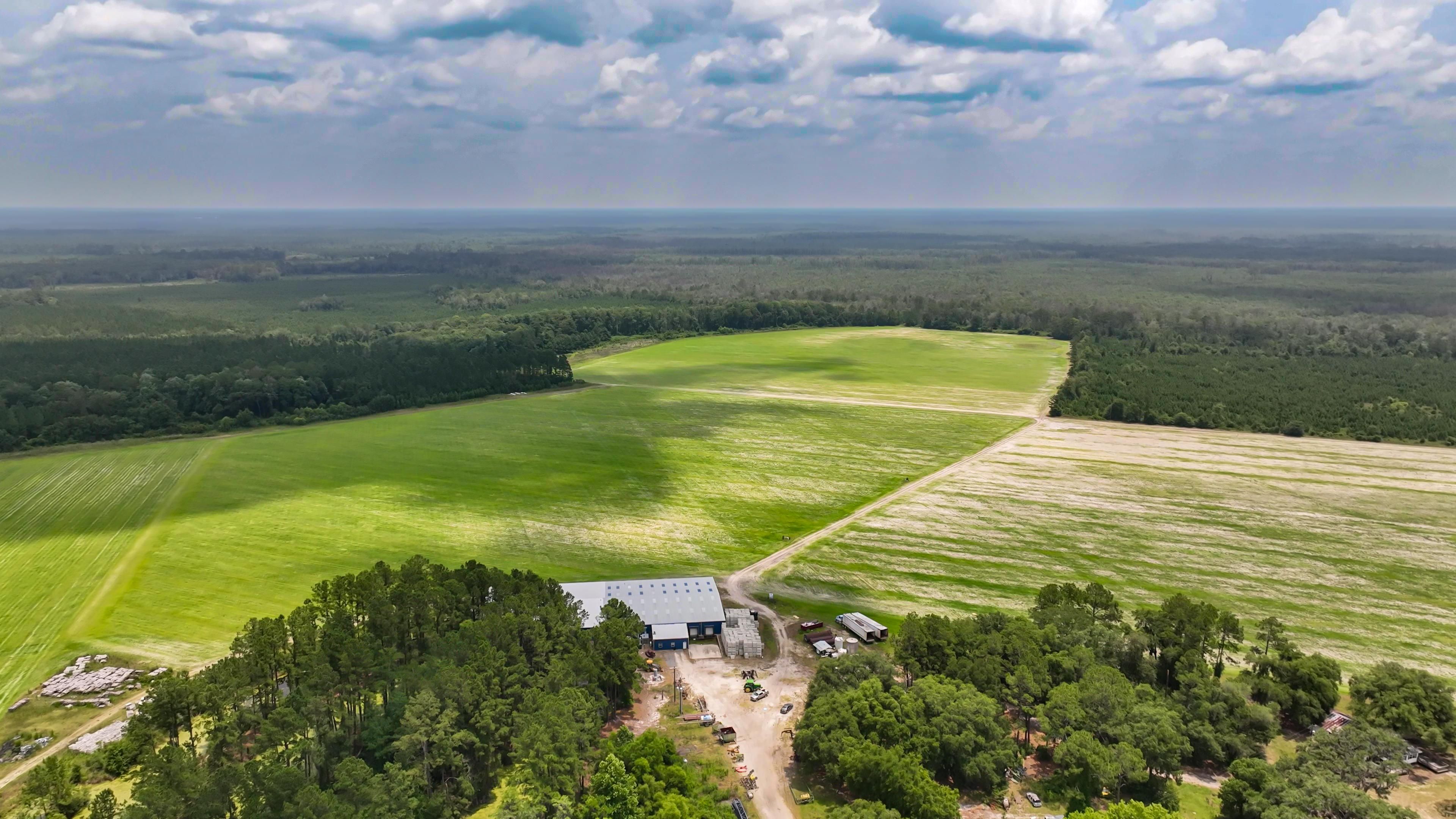 3150 Arabia Church Rd, Homerville, GA 31634 | Land and Farm