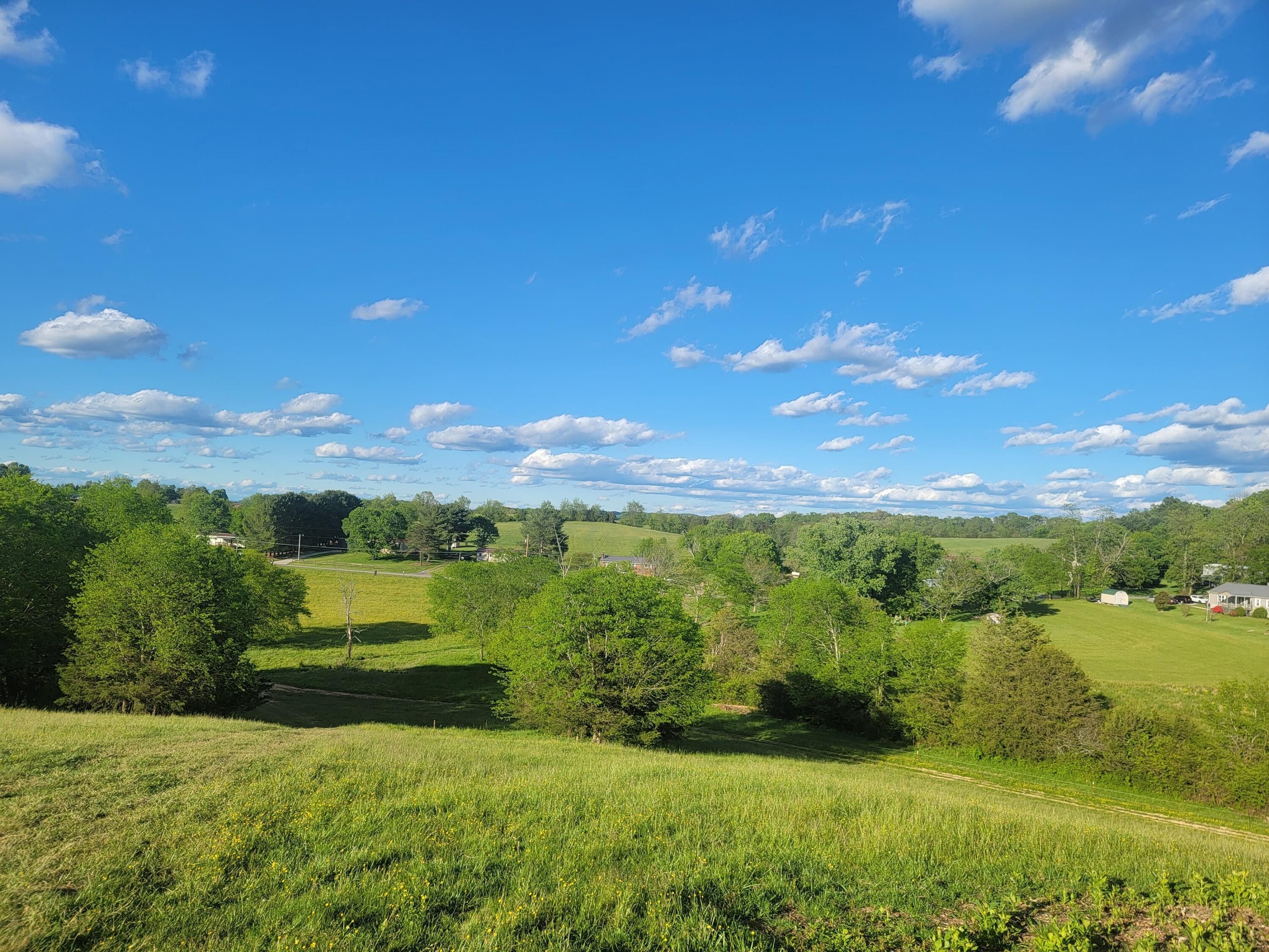 9.65 Acres, Tbd Culver Road, Limestone, TN 37681 | Land and Farm