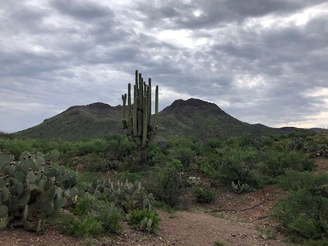 8,162 acres in Cascabel, AZ, 85602 | Land and Farm