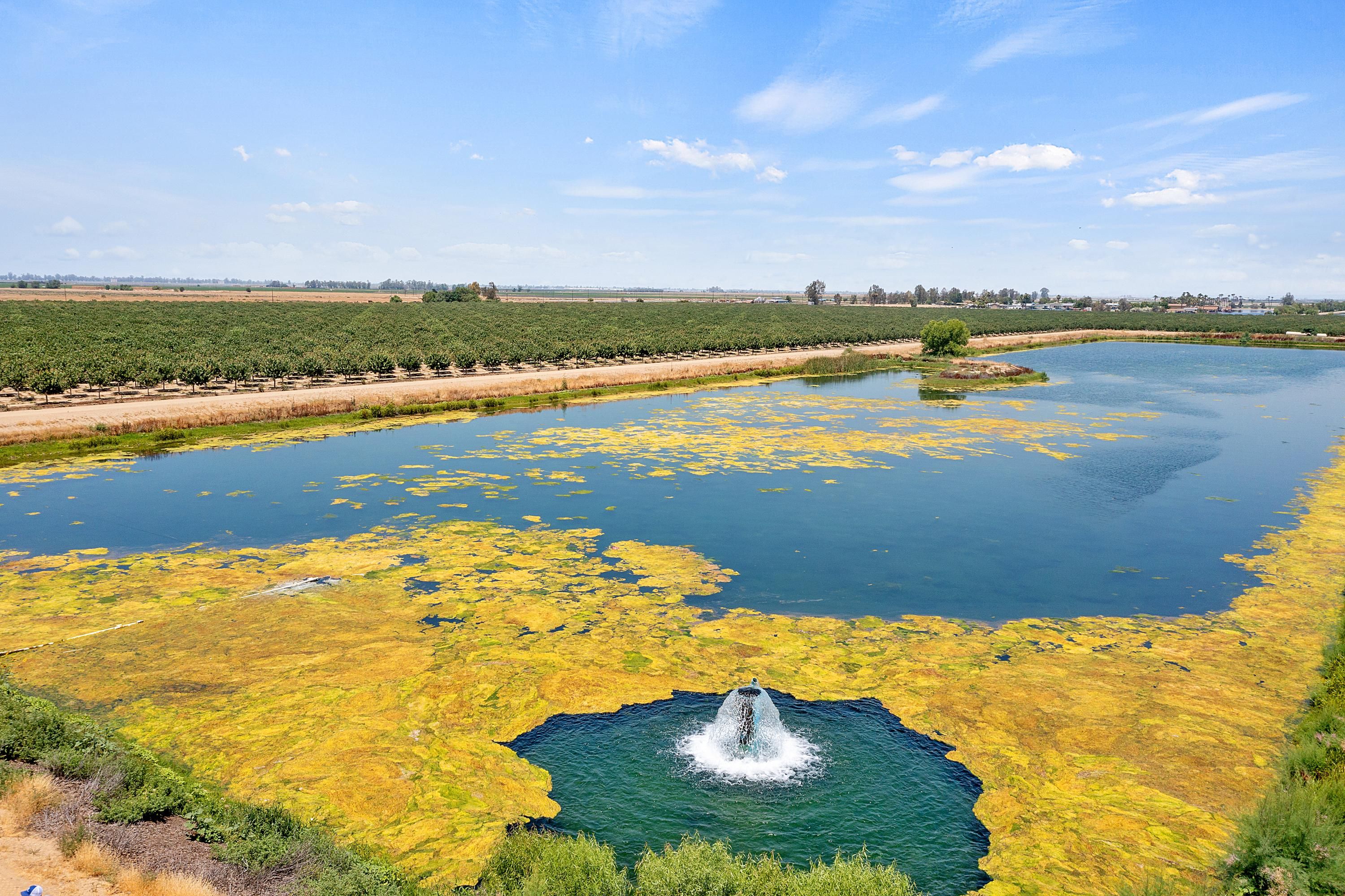 N Wheeler Ridge Rd, Arvin, CA 93203 | Land and Farm