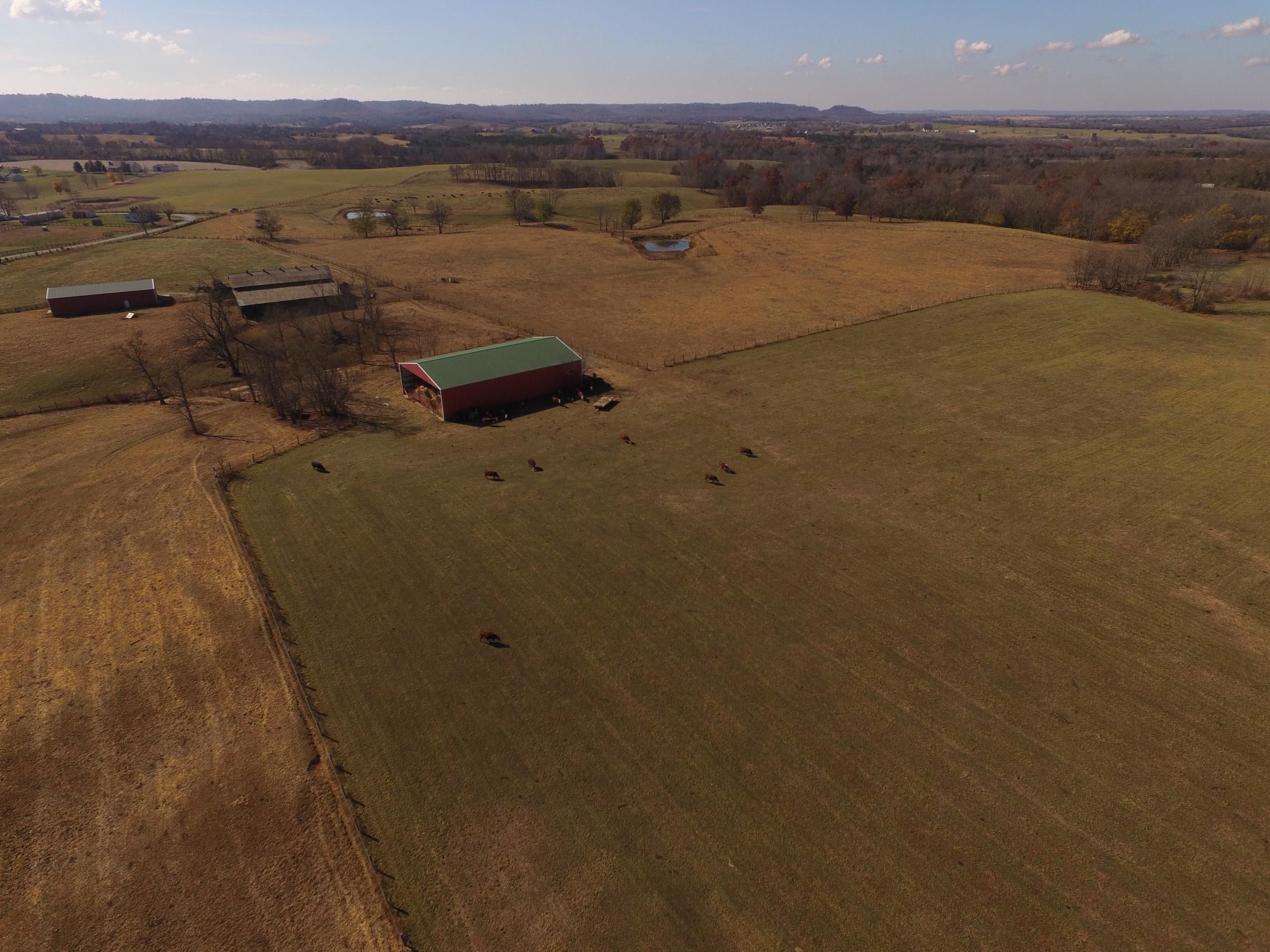 Highway 1770 Lot# Wp001, Stanford, KY 40484 | Land and Farm