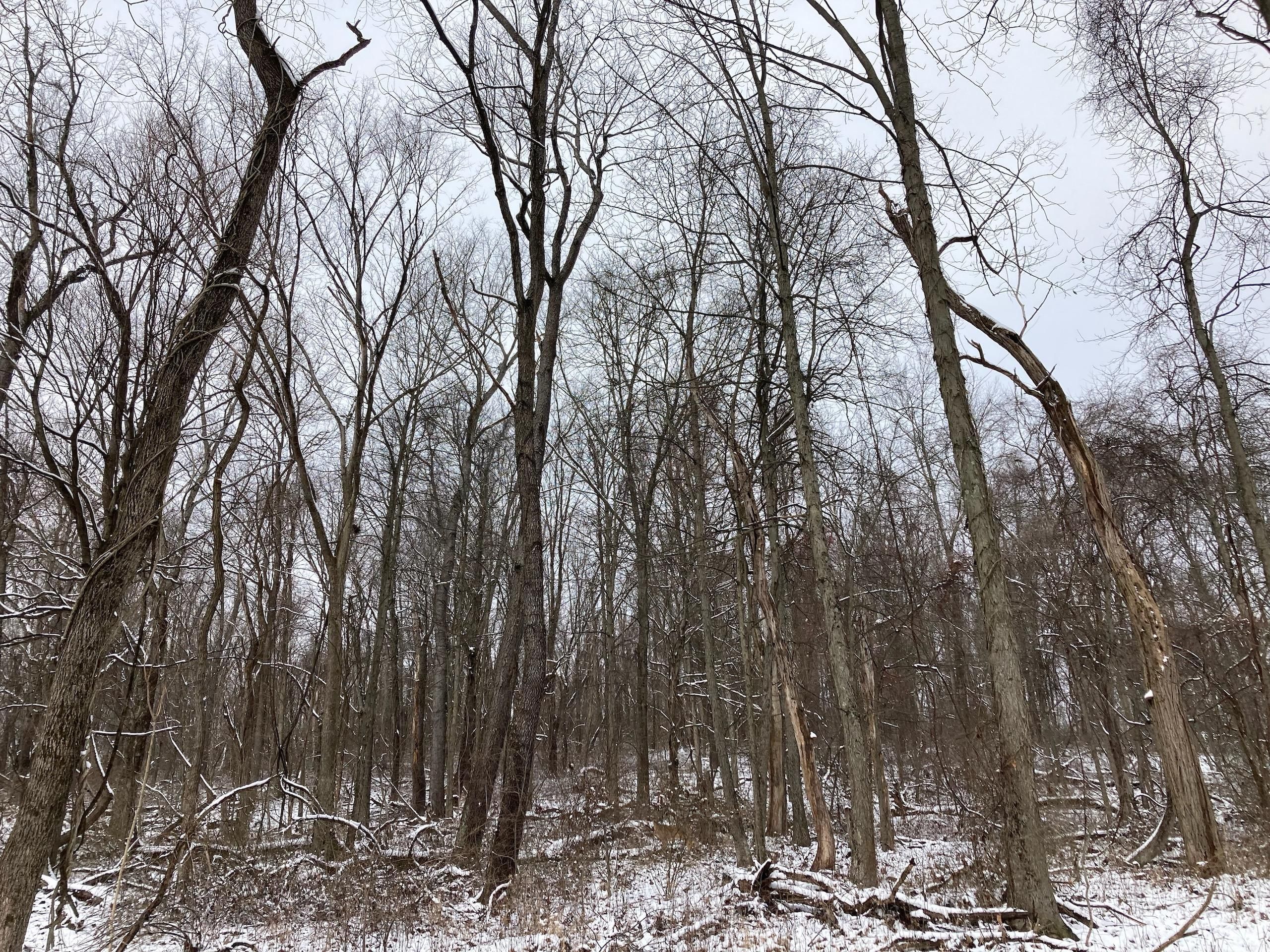 Spring Hill Road, Newark, OH 43055 | Land and Farm