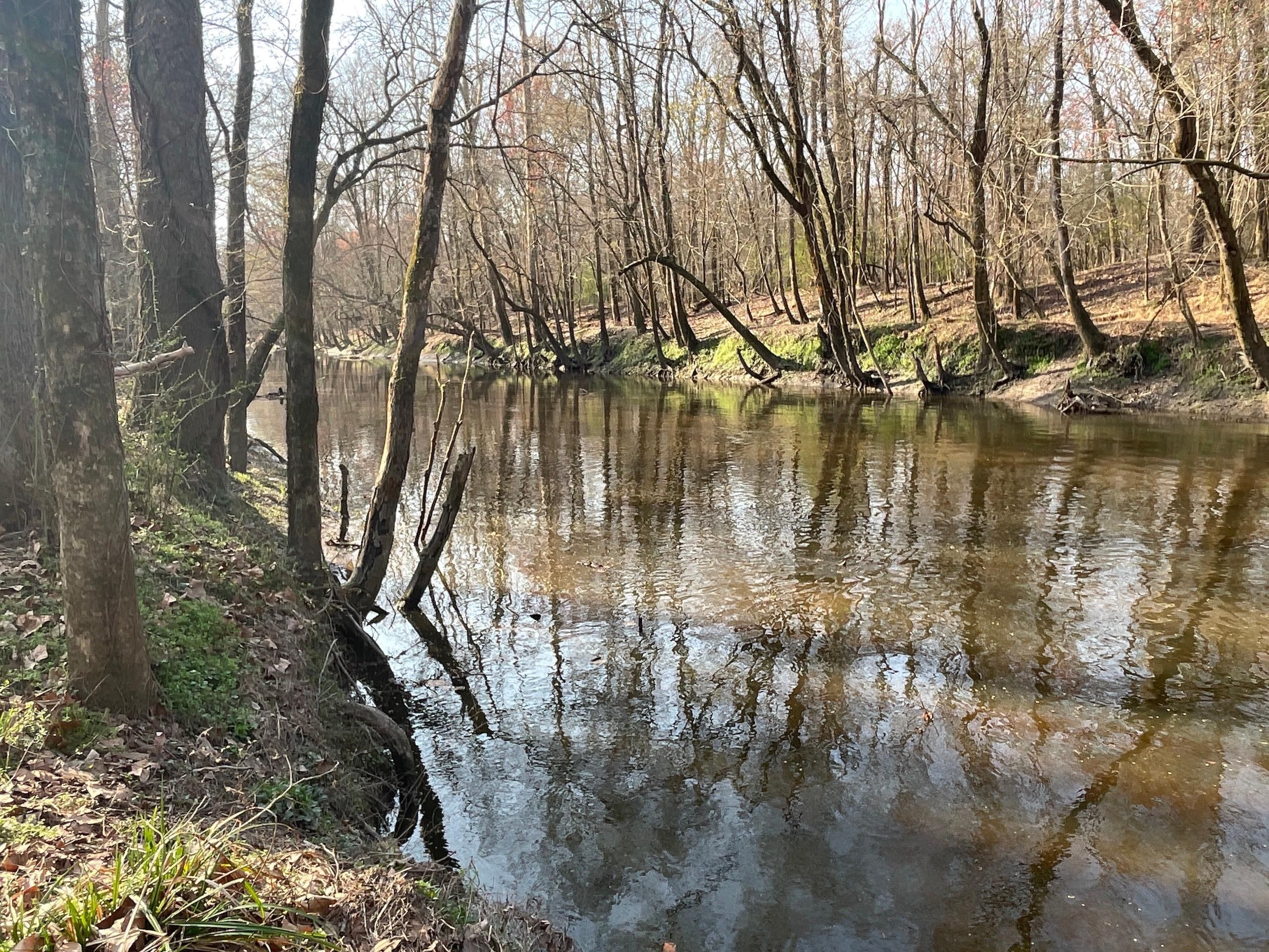 Off Powell Road, Lot# WP001, Vanceboro, NC 28586 | Land and Farm