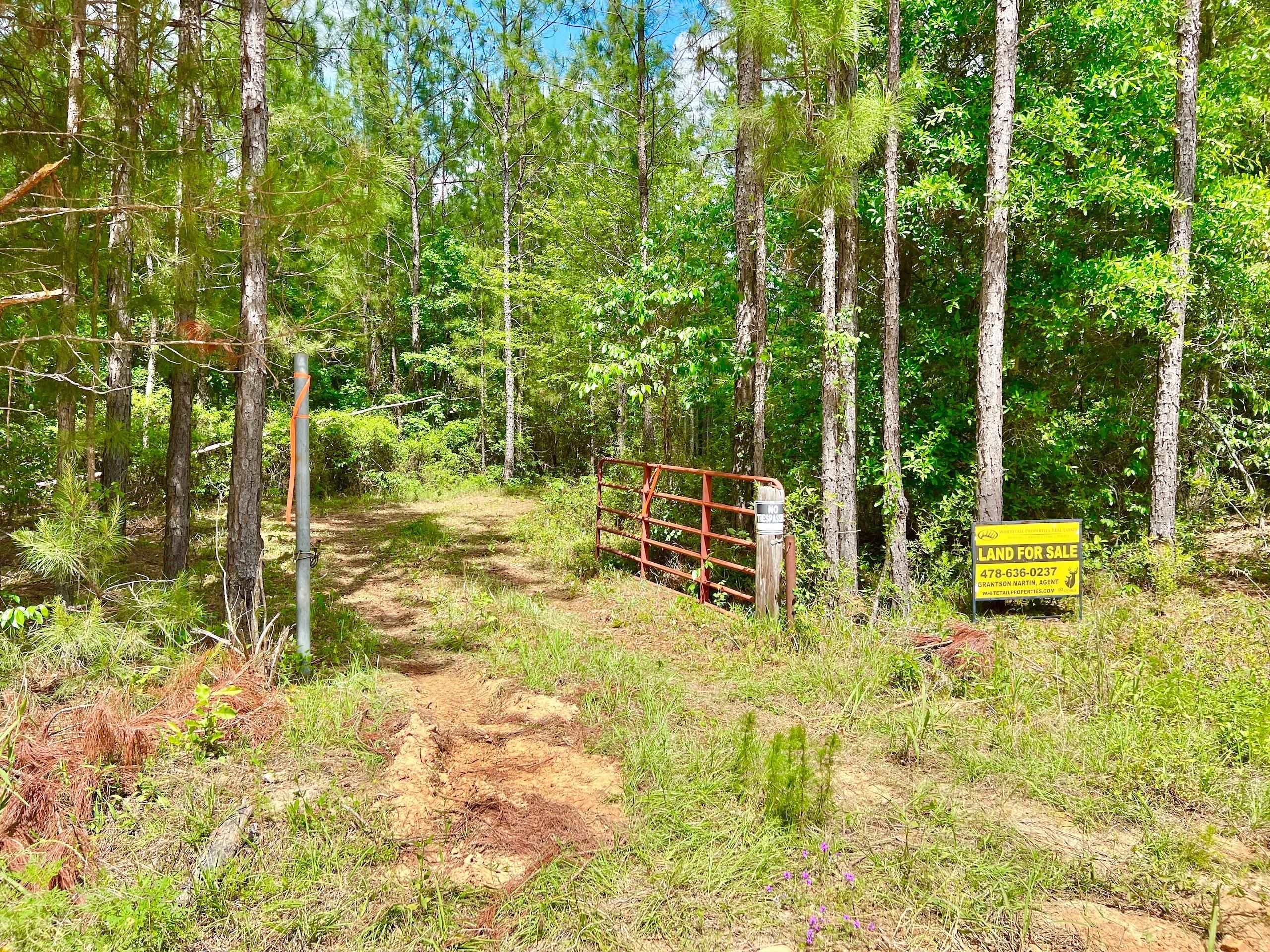 Cook Still Road, Lot#WP001, Milan, GA 31060 | Land and Farm