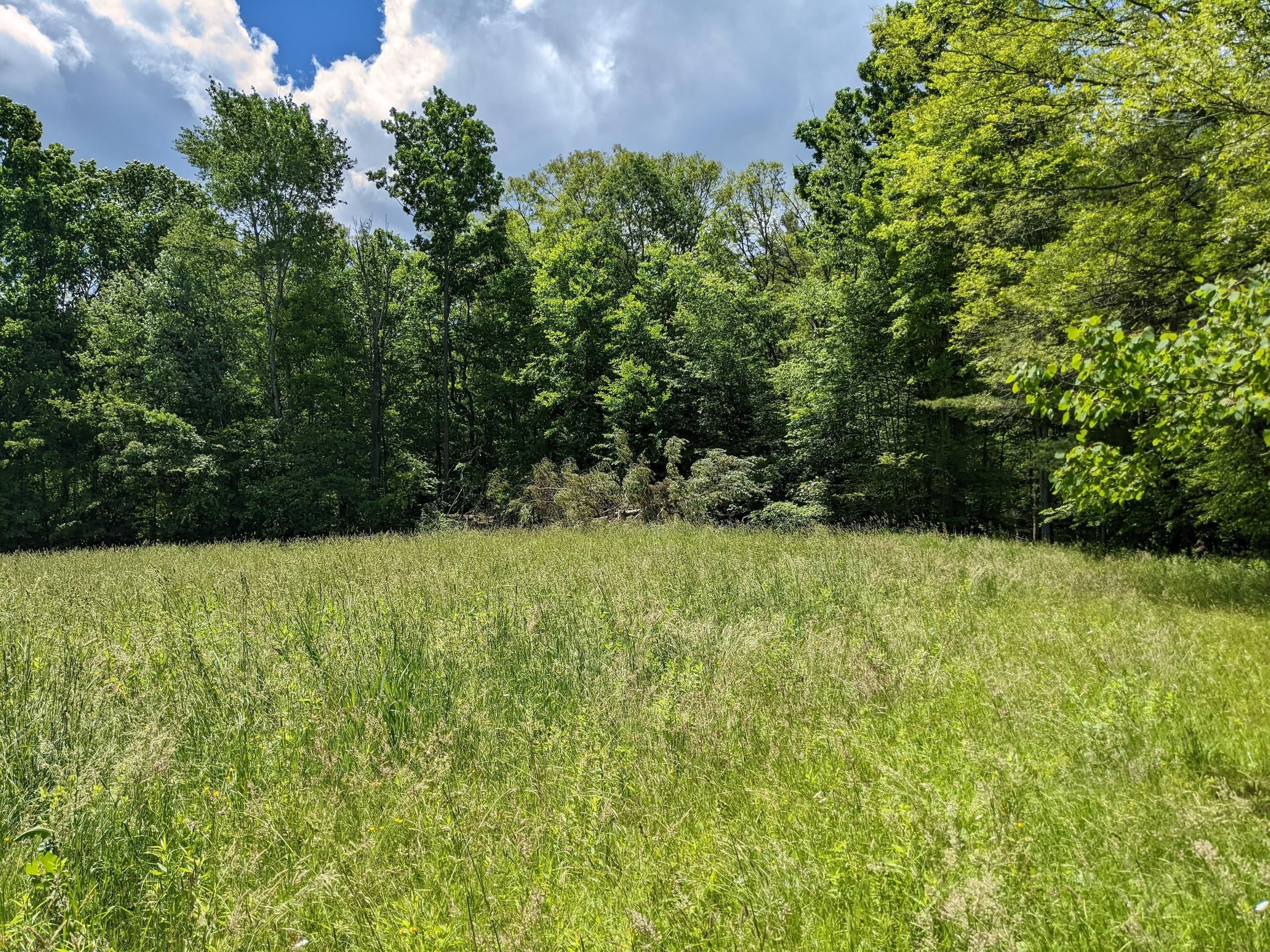 55.4 Acres, County Rt 13, Lot#WP001, Bath, NY 14810 | Land and Farm