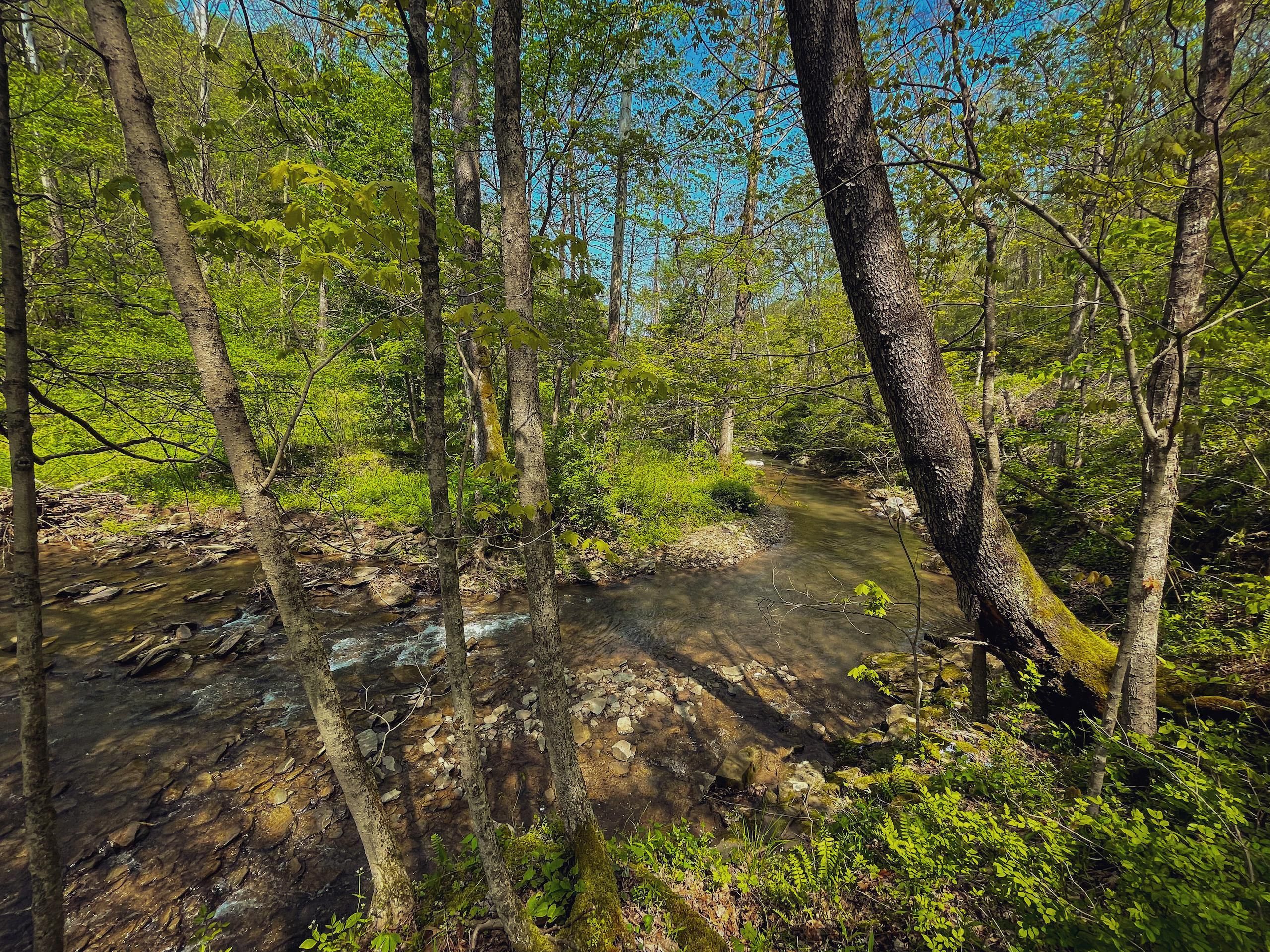Proctor Creek, Lot #WP001, Proctor, WV 26055 | Land and Farm