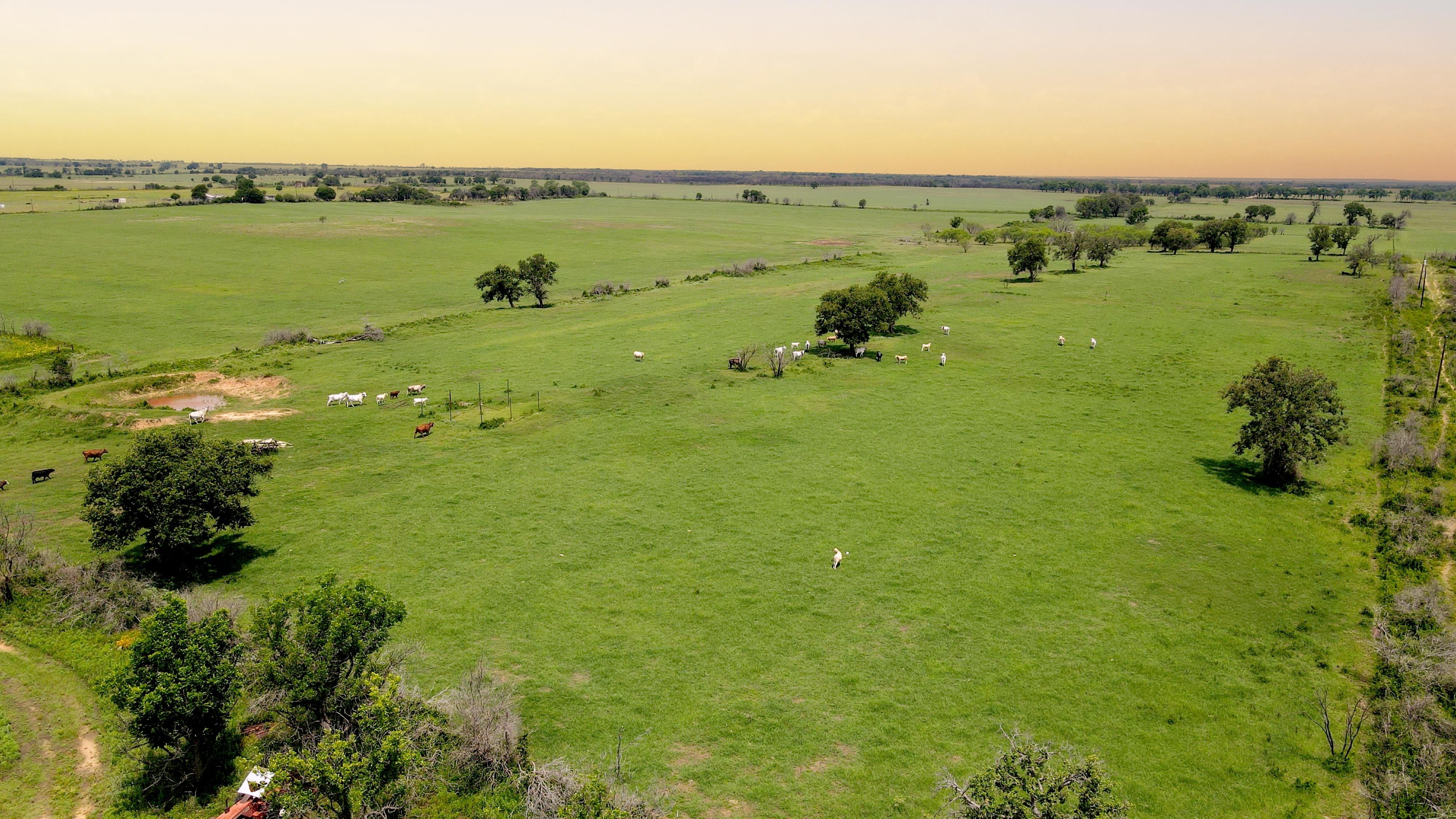 518 Hwy 2526, Gorman, TX 76454 | Land and Farm