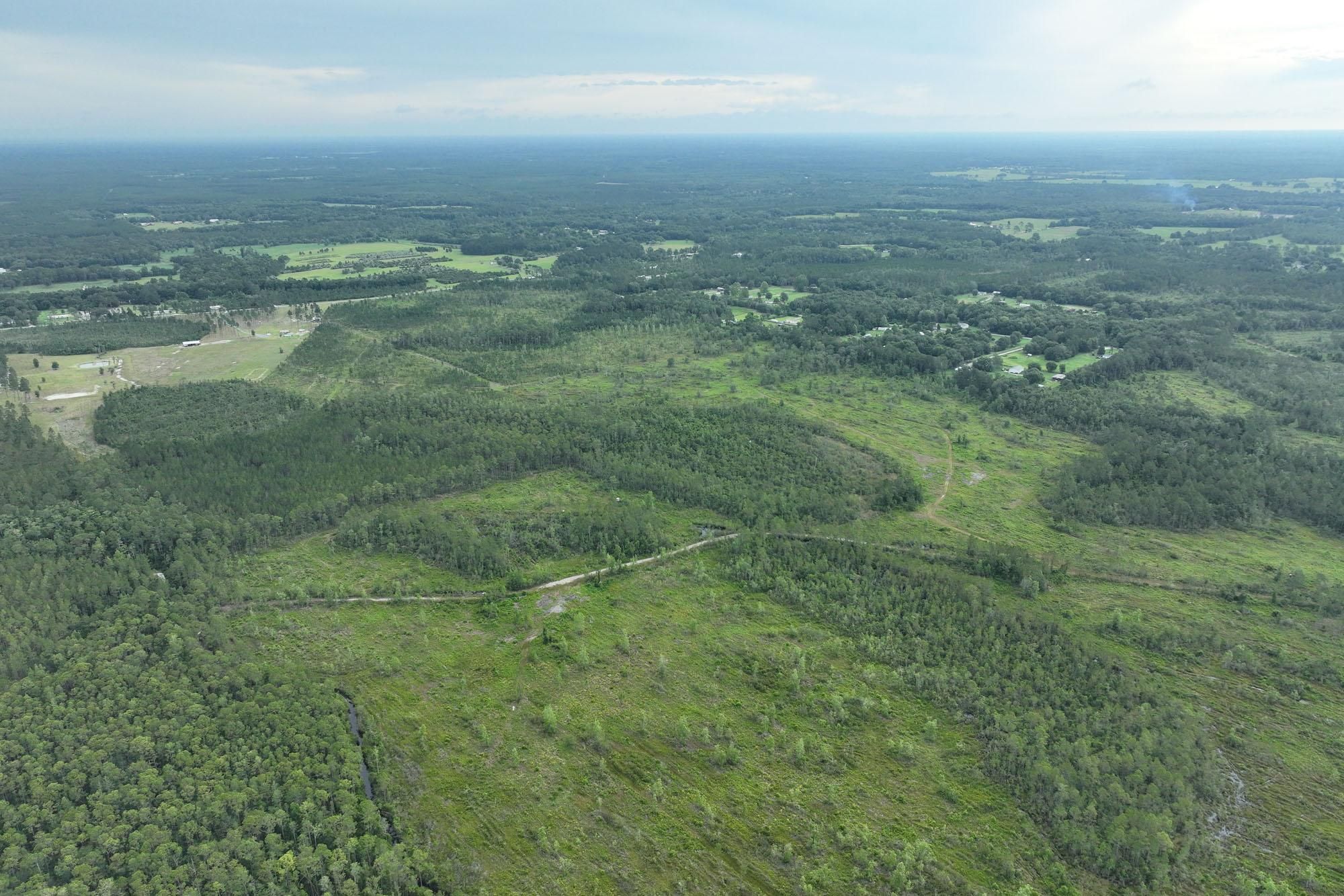 Noah Raulerson Rd, Sanderson, FL 32087 | Land and Farm